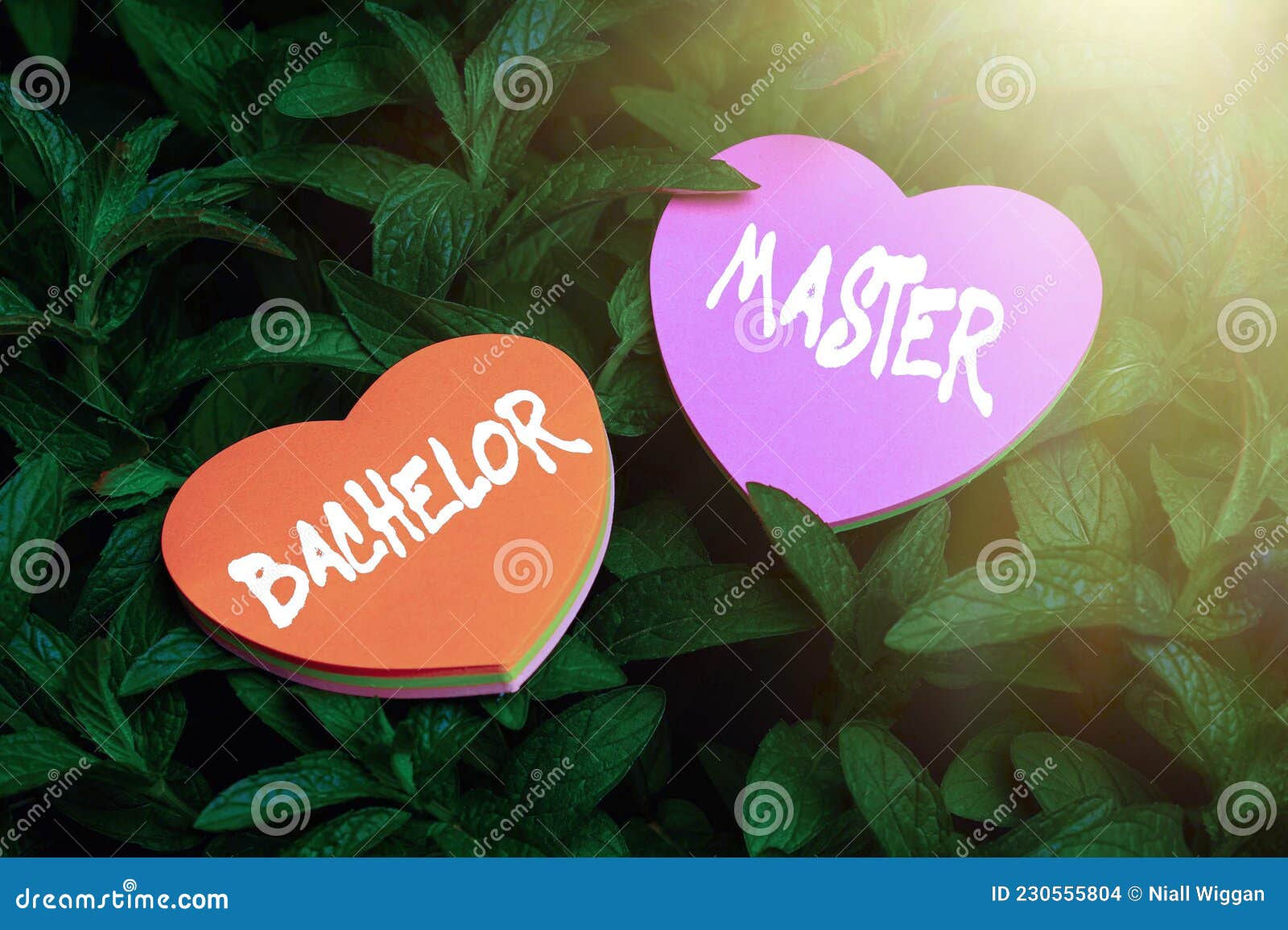 Text Caption Presenting Bachelor Master. Word for an Advanced Degree ... Text Caption Presenting Bachelor Master. Word for an Advanced Degree ...