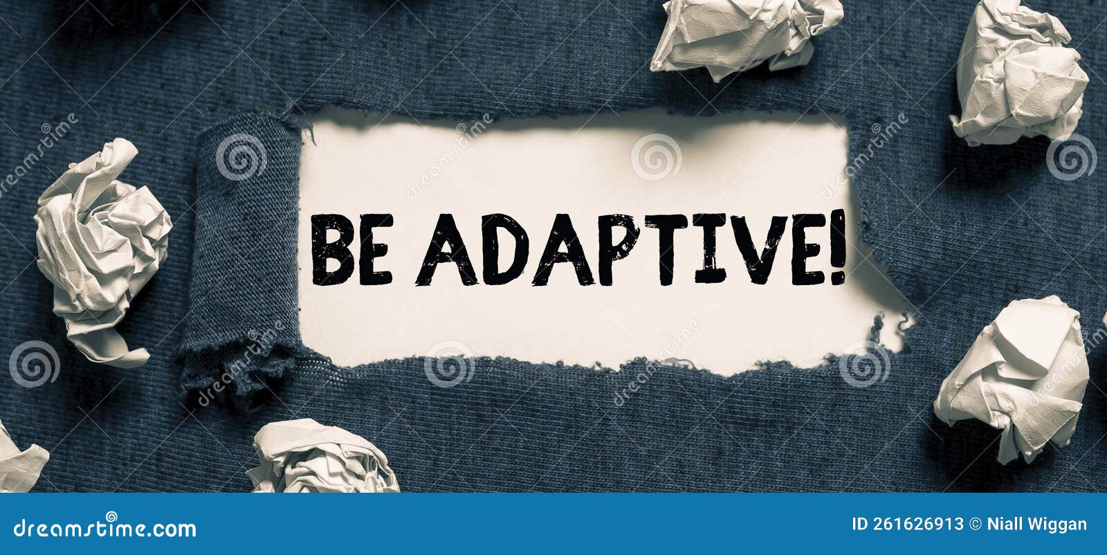 Text Caption Presenting Be Adaptive. Business Showcase Make the ...