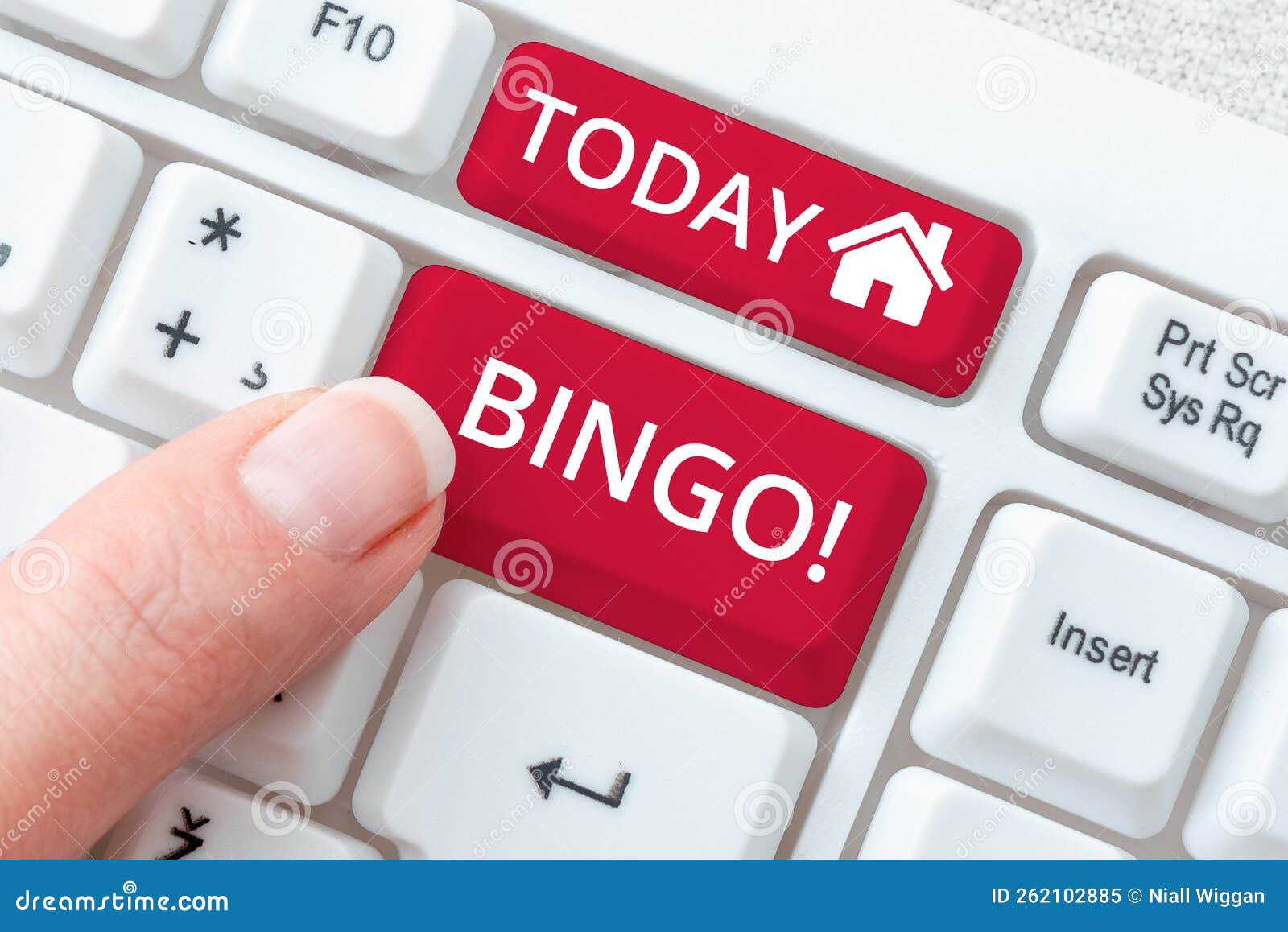 Text Caption Presenting Bingo. Business Overview Game of Chance in ... Text Caption Presenting Bingo. Business Overview Game of Chance in ...