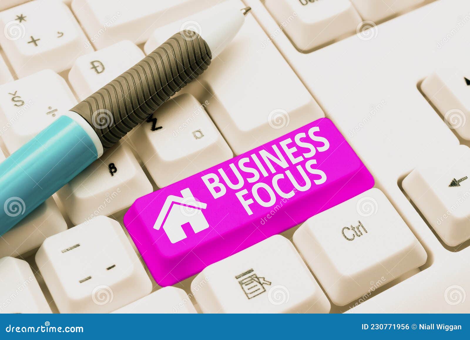 Text Caption Presenting Business Focus. Business Concept Serving the ...