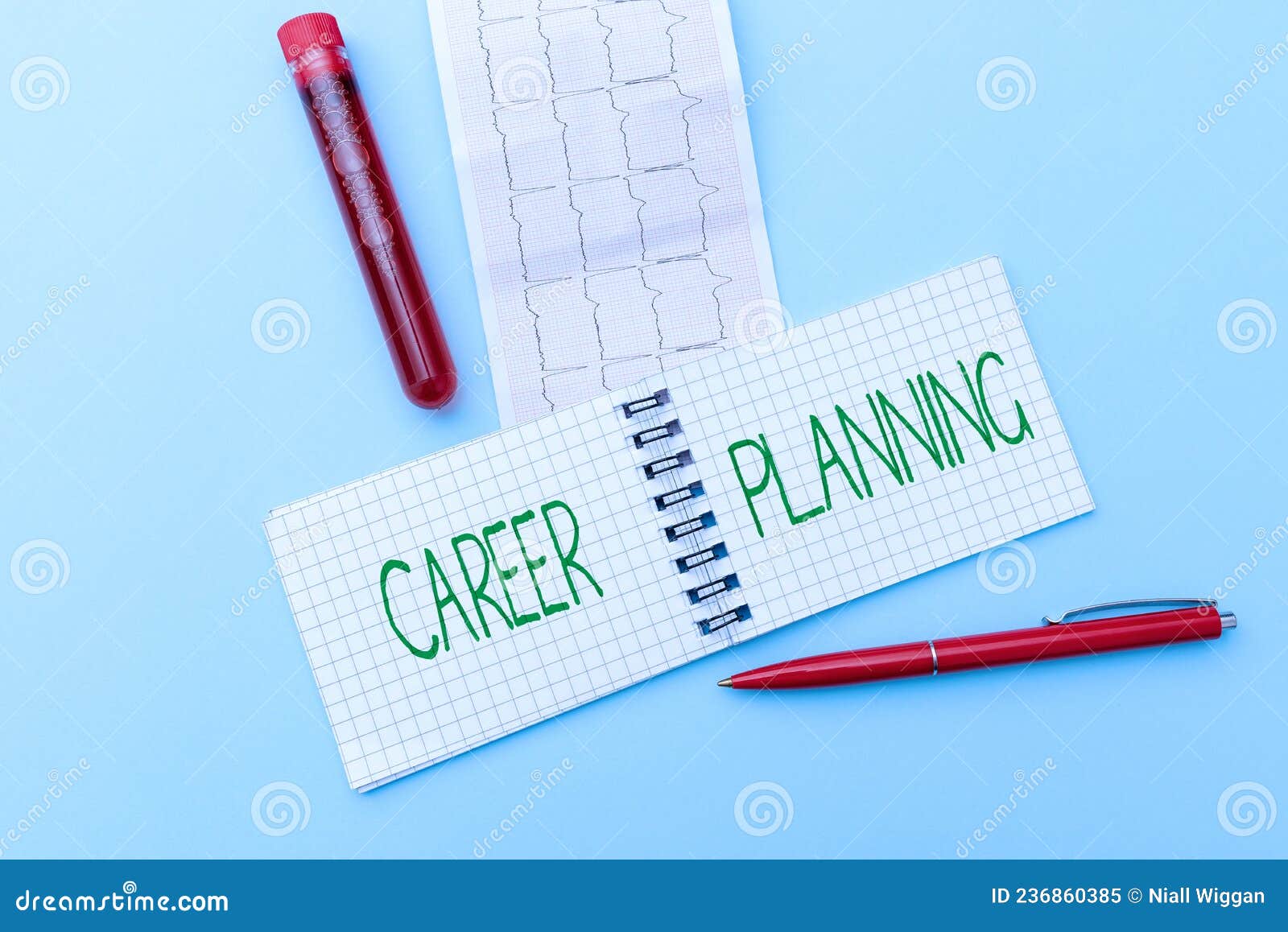 Text Caption Presenting Career Planning. Concept Meaning Strategically ...
