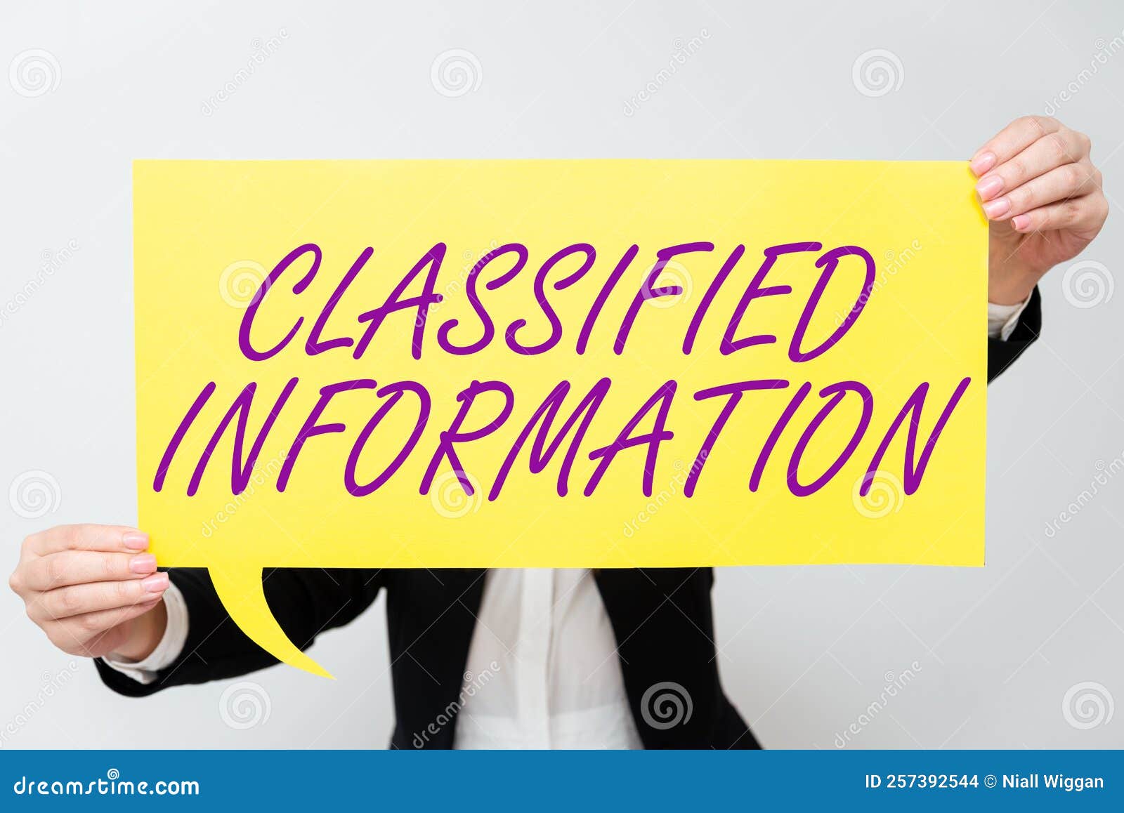 Text Caption Presenting Classified Information. Business Overview ...