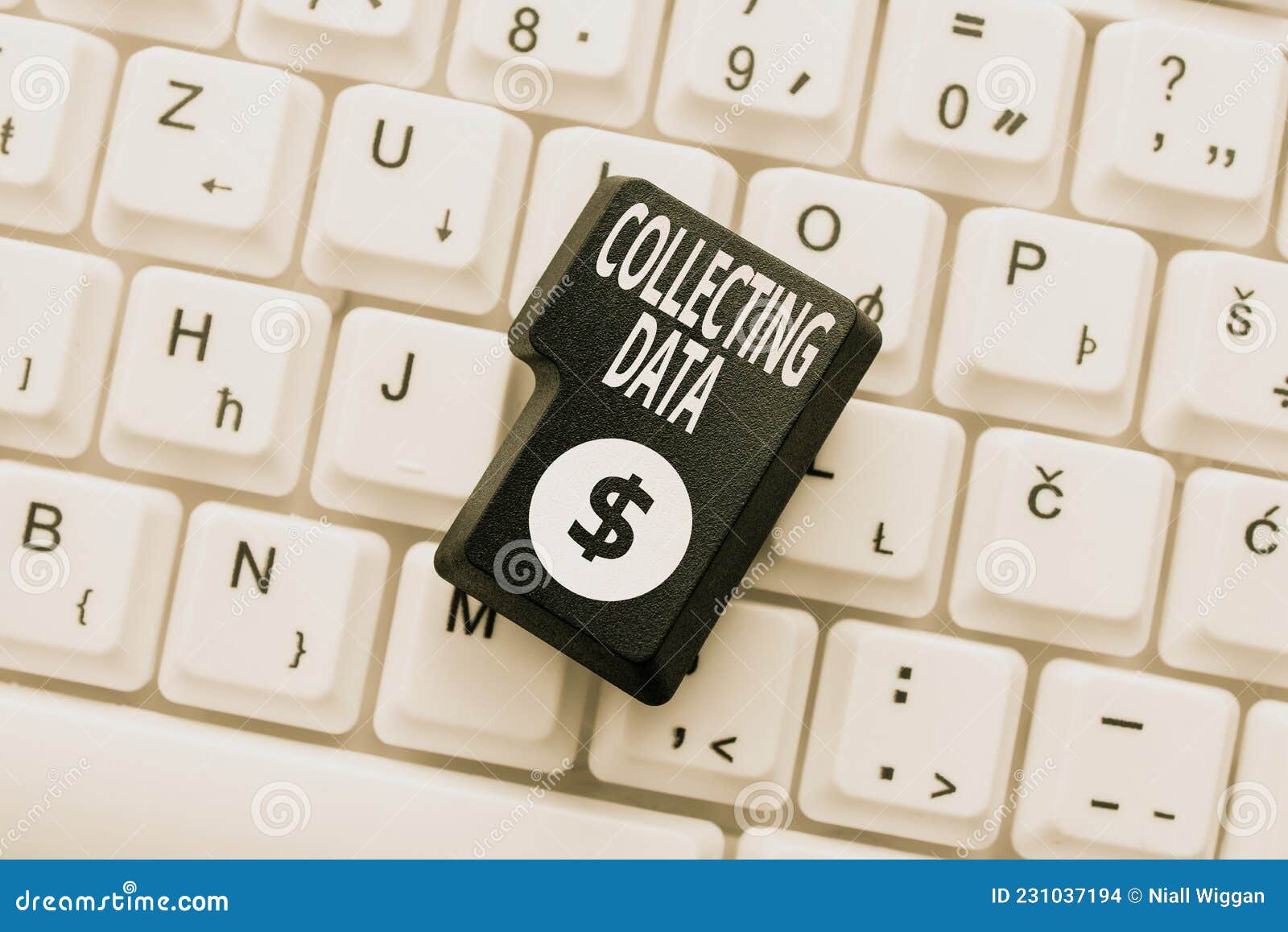 Text Caption Presenting Collecting Data. Business Idea Gathering and ...