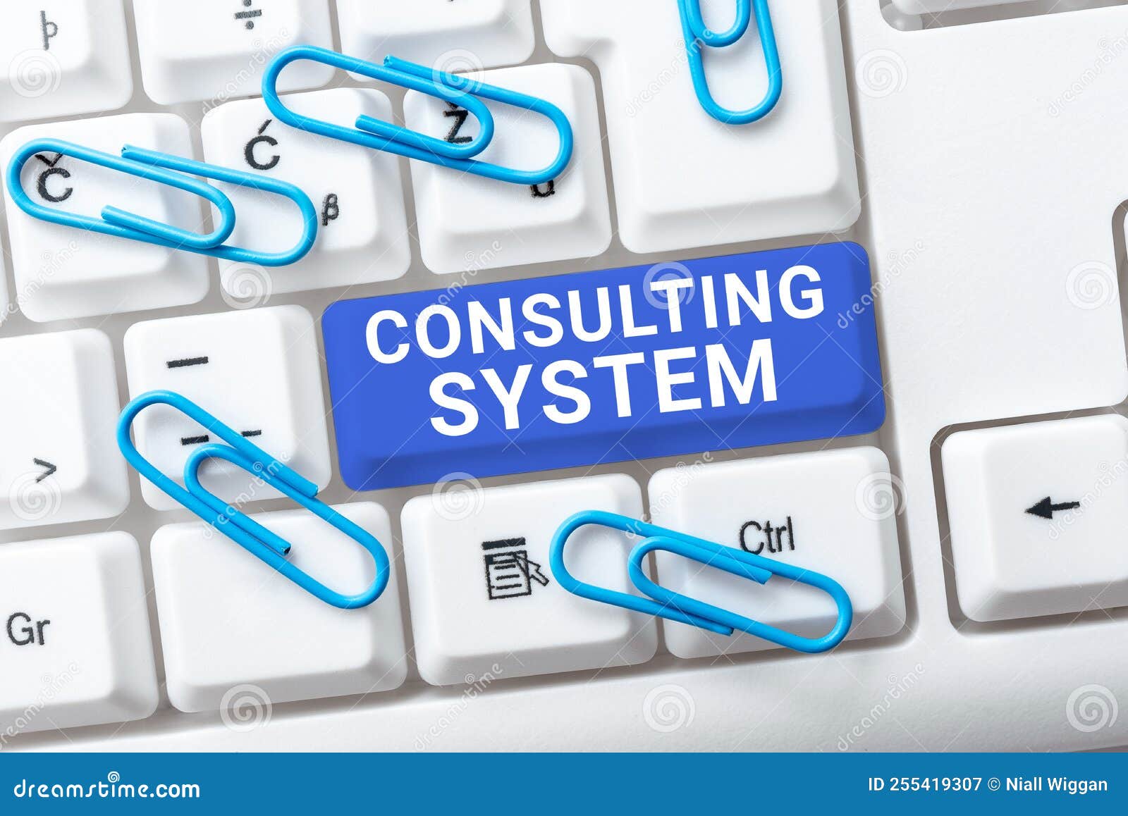 Text Caption Presenting Consulting SystemHelping Firms Improve Process ...