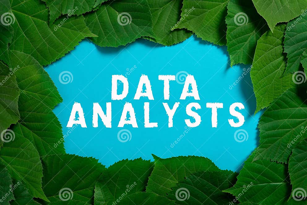 Text Caption Presenting Data Analysts. Word for Programmer Design and ...