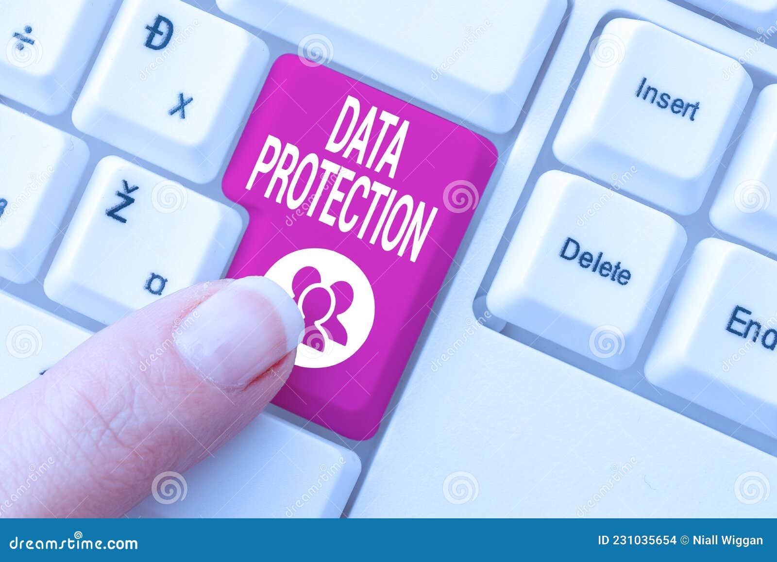 Text Caption Presenting Data Protection. Business Showcase Protect IP ...