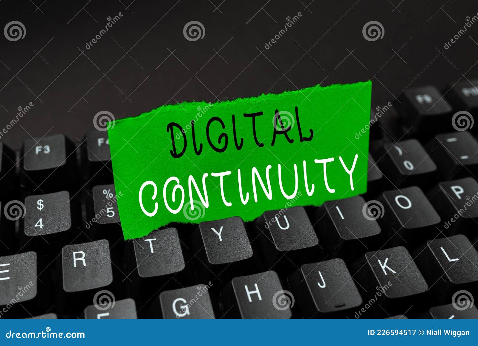 Text Caption Presenting Digital Continuity. Internet Concept Ability To ...