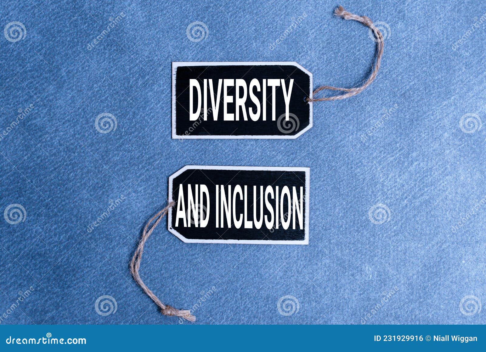 Text Caption Presenting Diversity and Inclusion. Business Concept Range ...