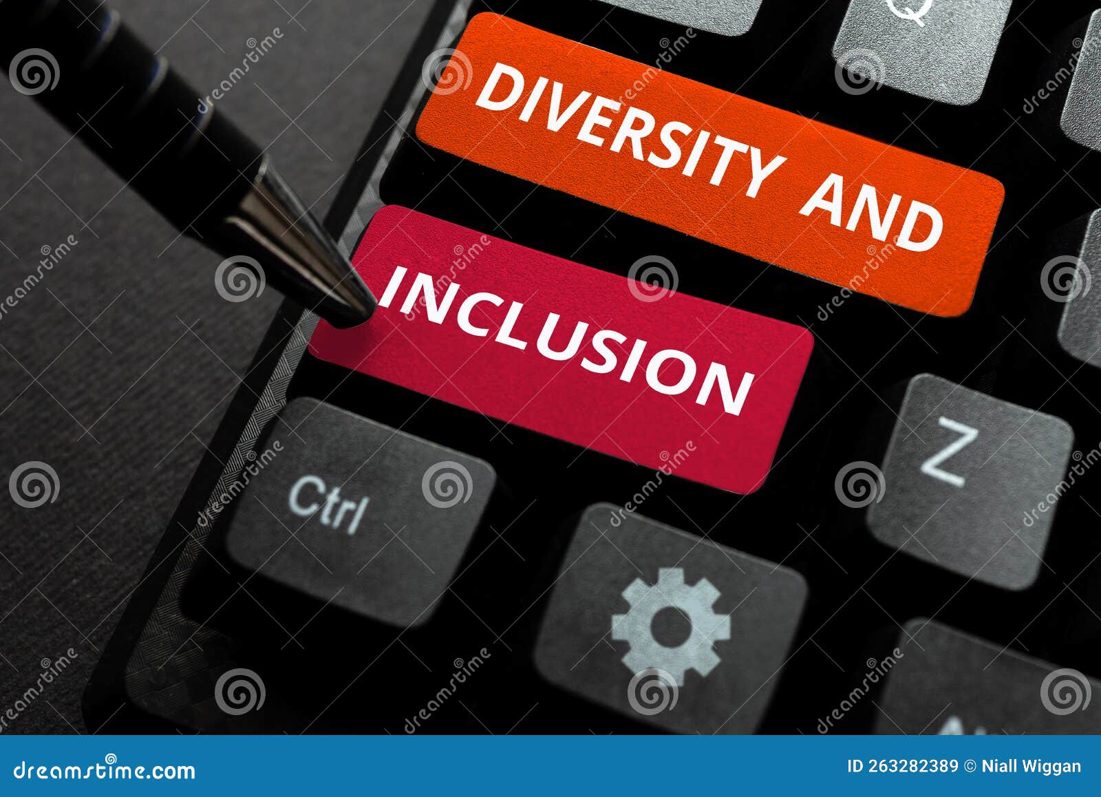 Text Caption Presenting Diversity and Inclusion. Internet Concept Range ...