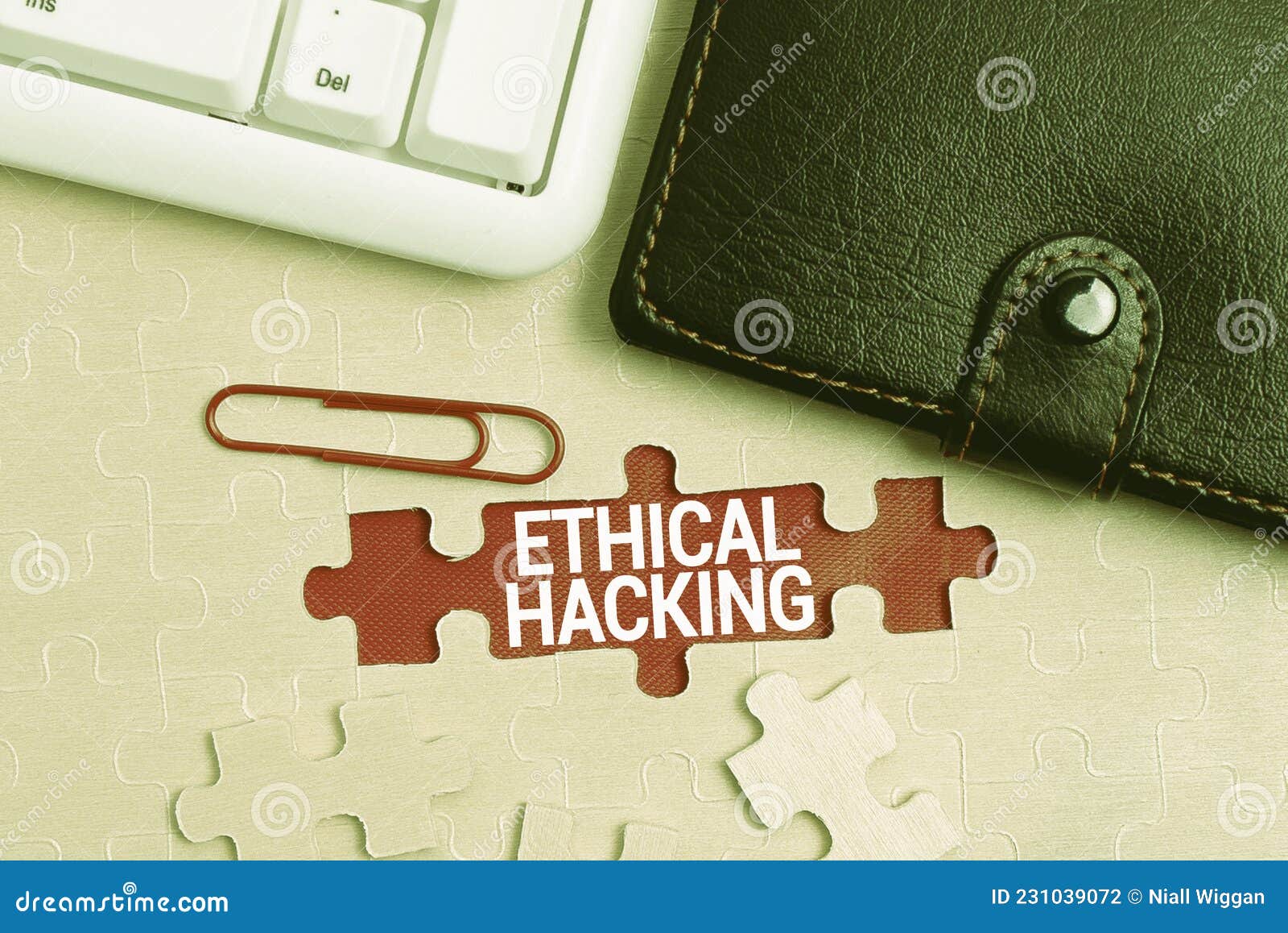 Text Caption Presenting Ethical Hacking. Business Approach Act of ... Text Caption Presenting Ethical Hacking. Business Approach Act of ...