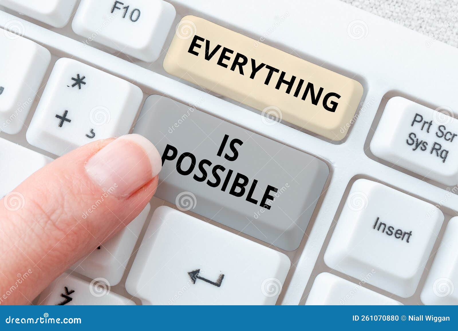 Conceptual Display Everything is Possible. Business Overview Being ...