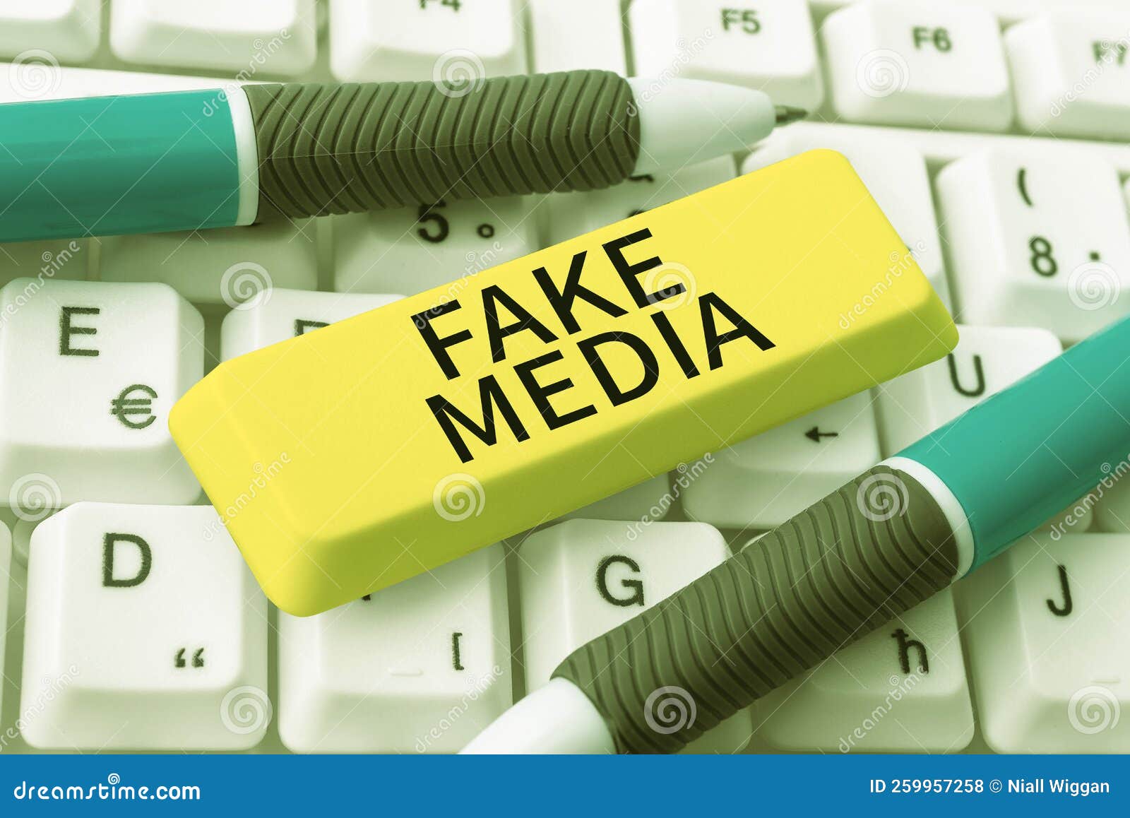 Text Caption Presenting Fake Media. Business Showcase an Formation Held ...