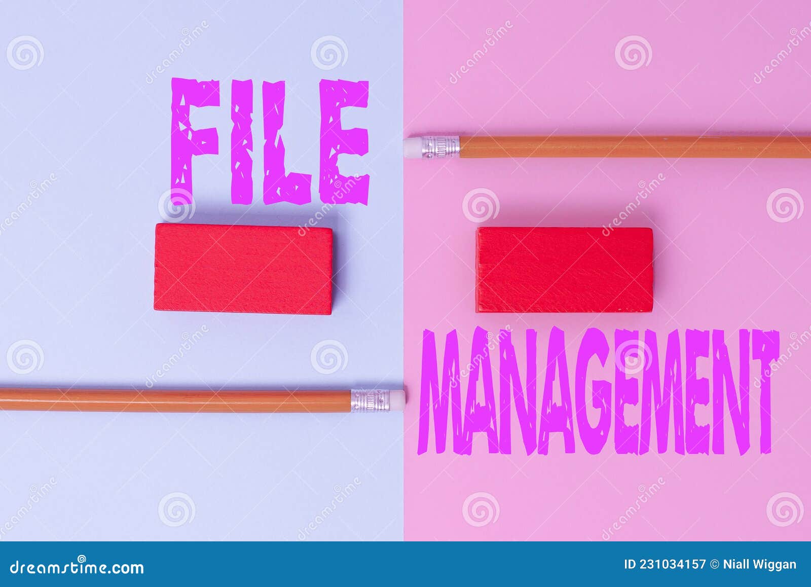 Writing Displaying Text File Management. Business Idea Computer Program that Provides User ...