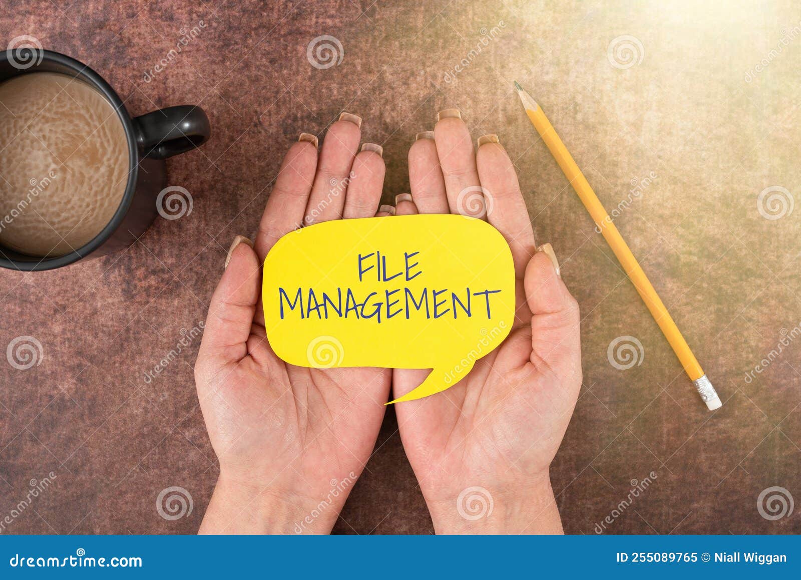 Text Caption Presenting File Managementcomputer Program that Provides ...