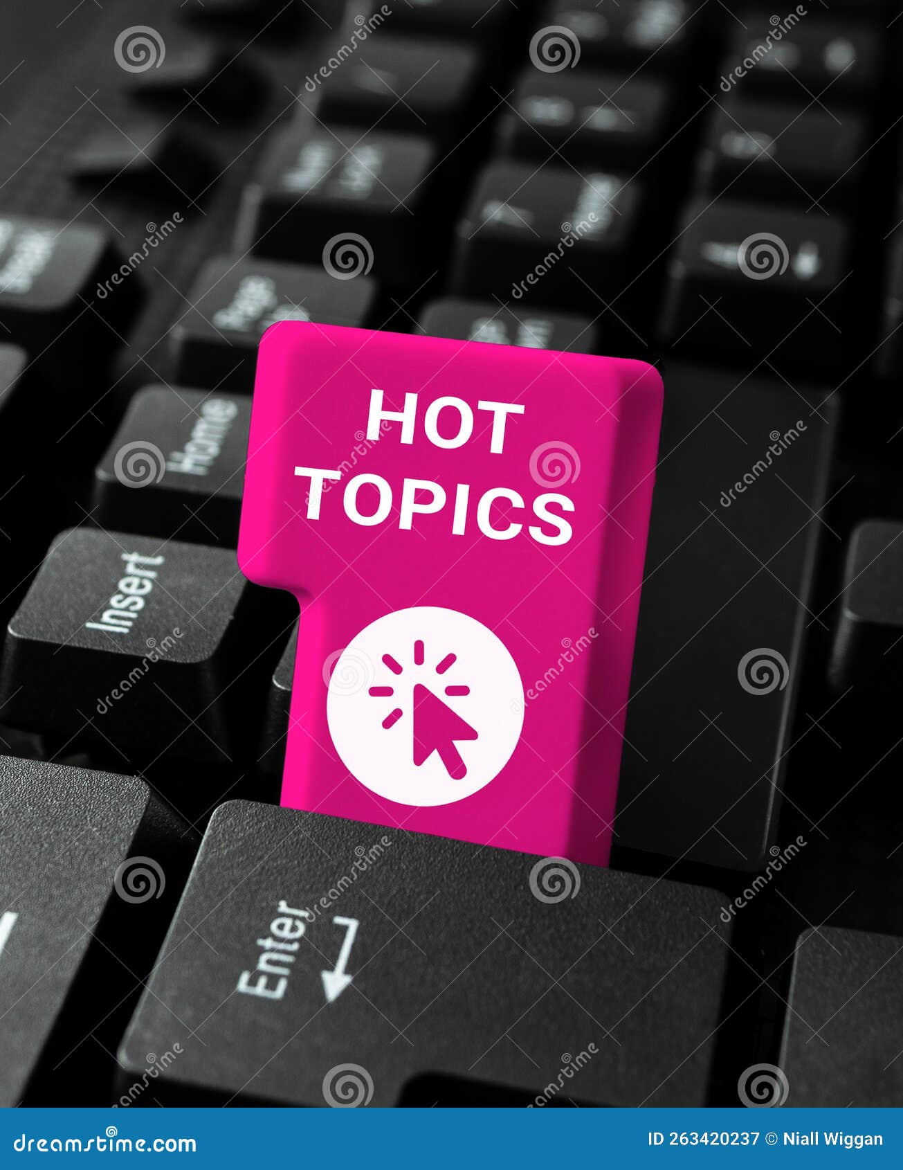 Conceptual Caption Hot Topics. Word for Subject that a Lot of People ... Conceptual Caption Hot Topics. Word for Subject that a Lot of People ...