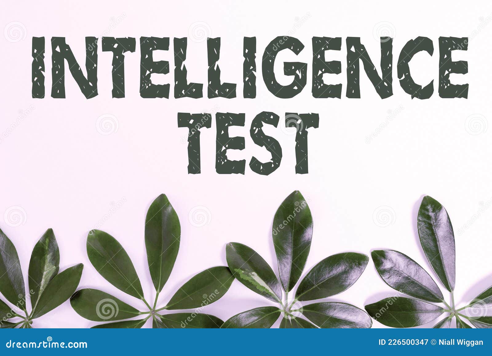 Sign Displaying Intelligence Test. Business Approach Test Designed To ...