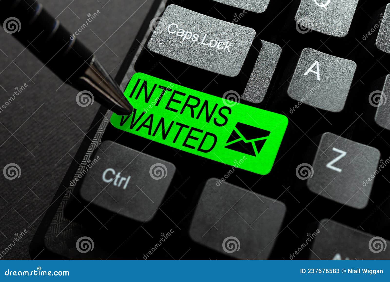 Text Caption Presenting Interns Wanted. Business Overview Looking for ... Text Caption Presenting Interns Wanted. Business Overview Looking for ...
