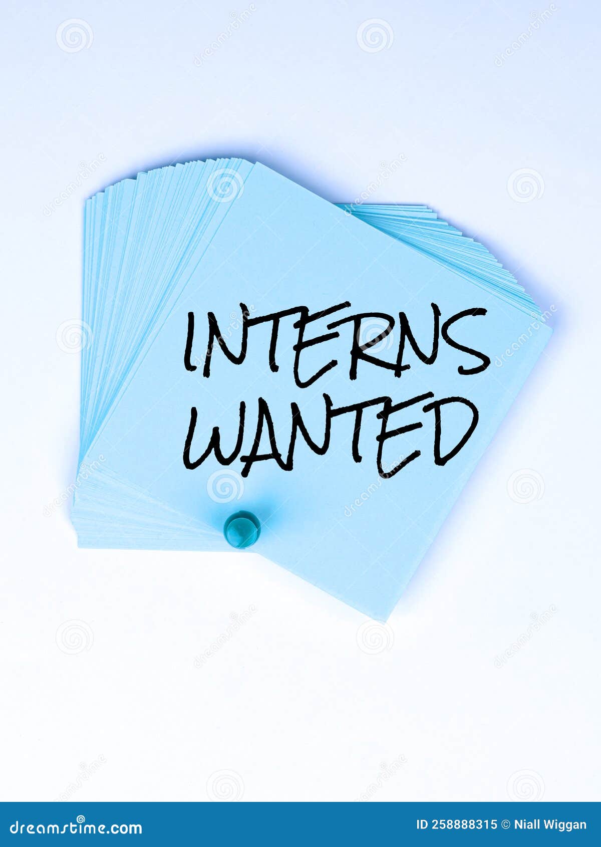 Text Caption Presenting Interns Wanted. Business Showcase Looking for ... Text Caption Presenting Interns Wanted. Business Showcase Looking for ...