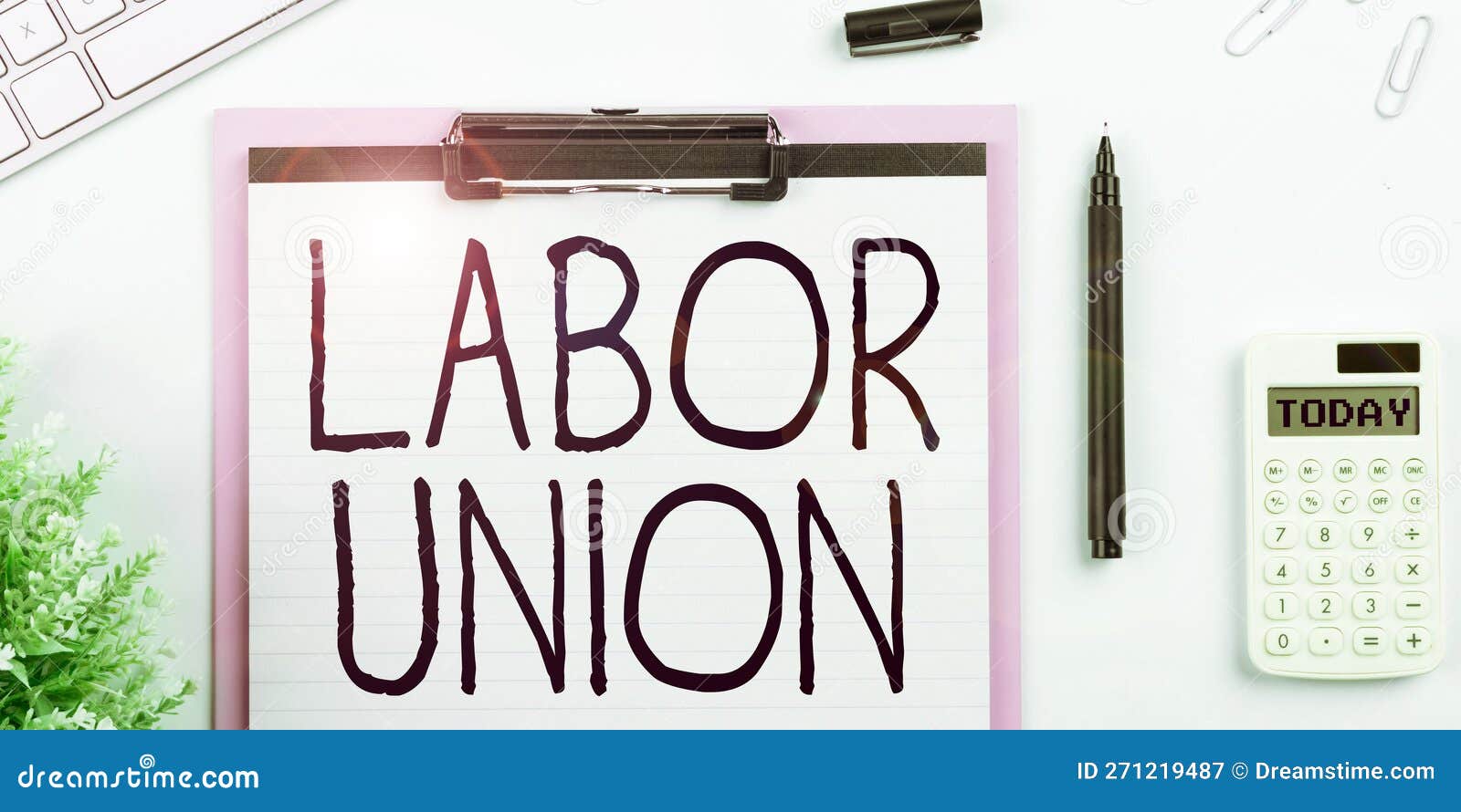 Text Caption Presenting Labor Union. Business Overview Rules Relating ... Text Caption Presenting Labor Union. Business Overview Rules Relating ...