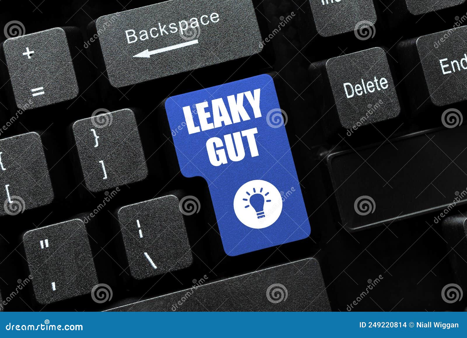 Text Caption Presenting Leaky Gut. Conceptual Photo a Condition in ... Text Caption Presenting Leaky Gut. Conceptual Photo a Condition in ...