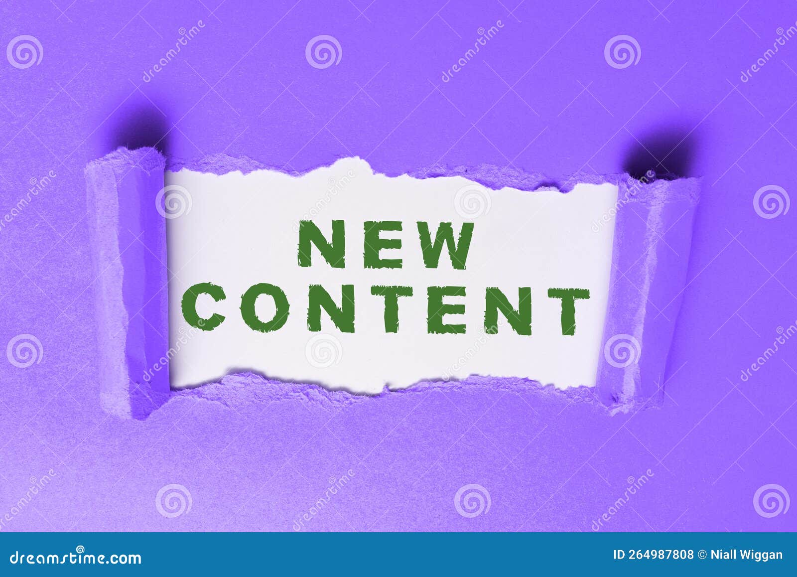 Text Caption Presenting New Content. Business Overview Fresh Valuable ...