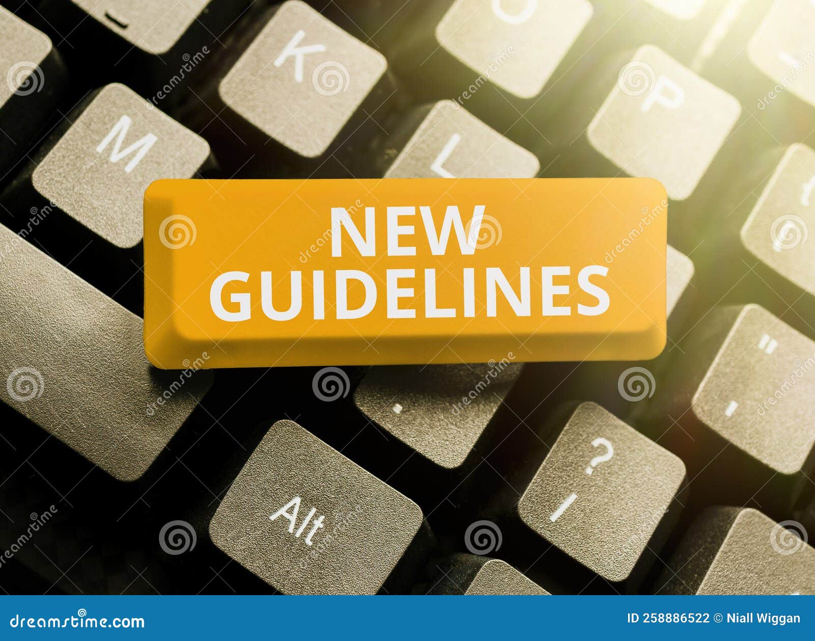 Text Caption Presenting New Guidelines. Business Showcase a New List of ... Text Caption Presenting New Guidelines. Business Showcase a New List of ...