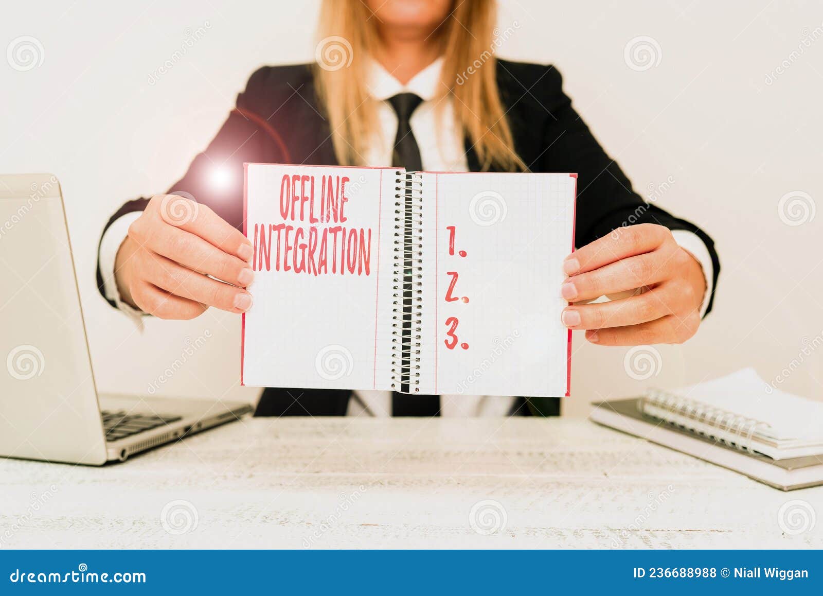 Text Caption Presenting Offline Integration. Business Overview First ... Text Caption Presenting Offline Integration. Business Overview First ...