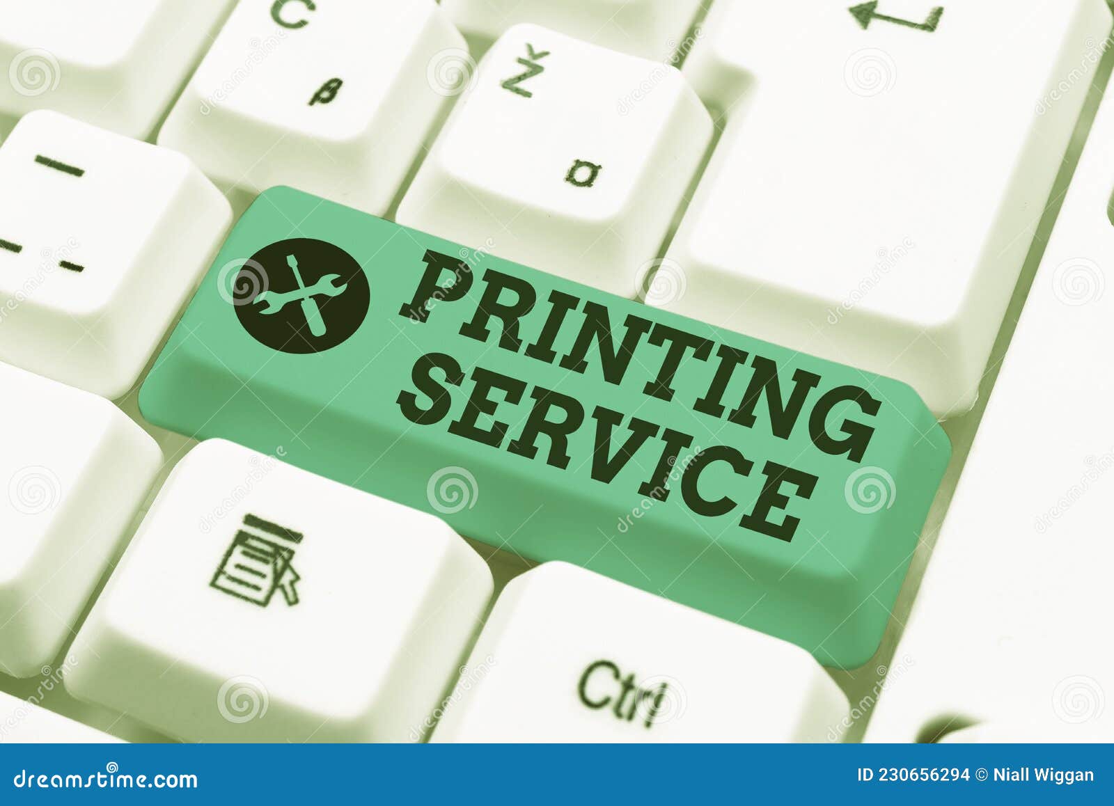 Text Caption Presenting Printing Service. Business Overview Program ...