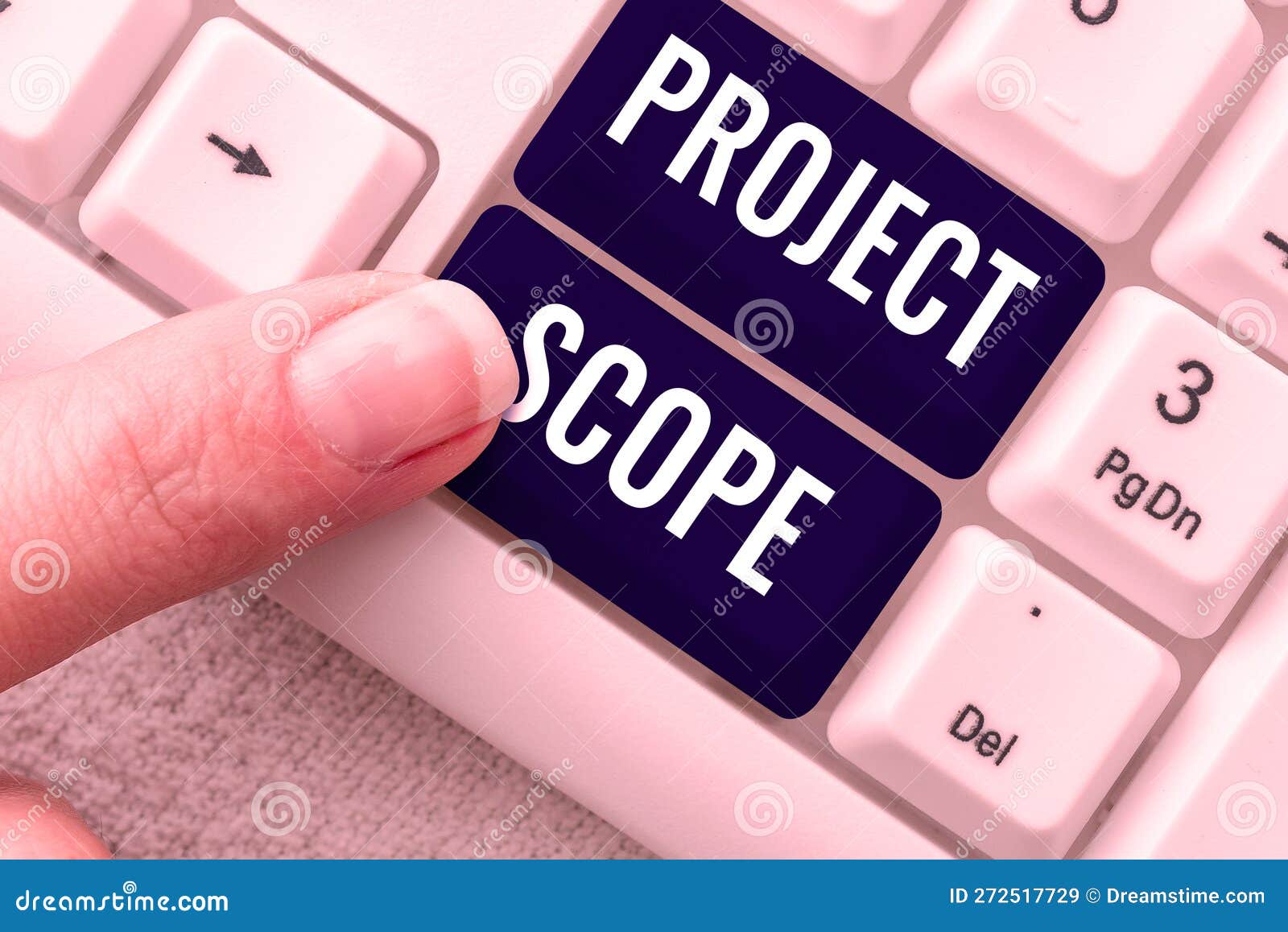 Text Caption Presenting Project Scope. Business Approach Evaluation of Work Efforts a Product ...