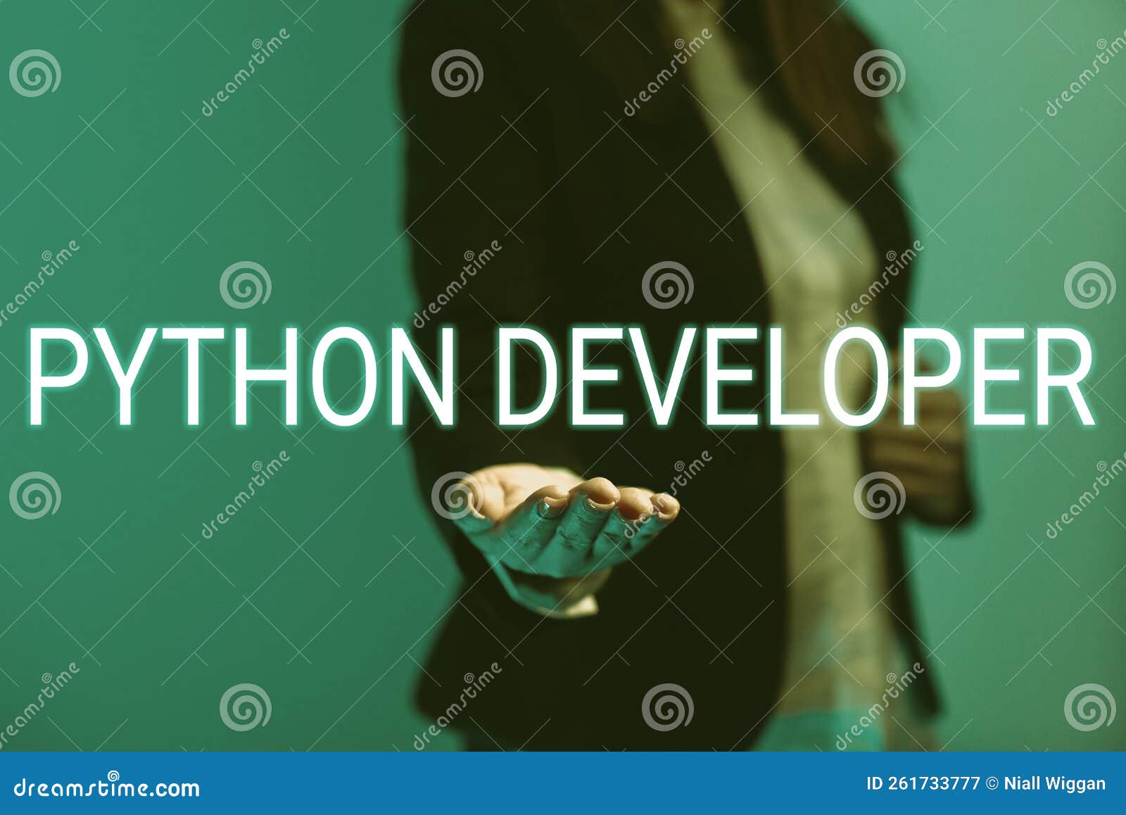 Writing Displaying Text Python Developer. Business Showcase Responsible for Writing Serverside ...