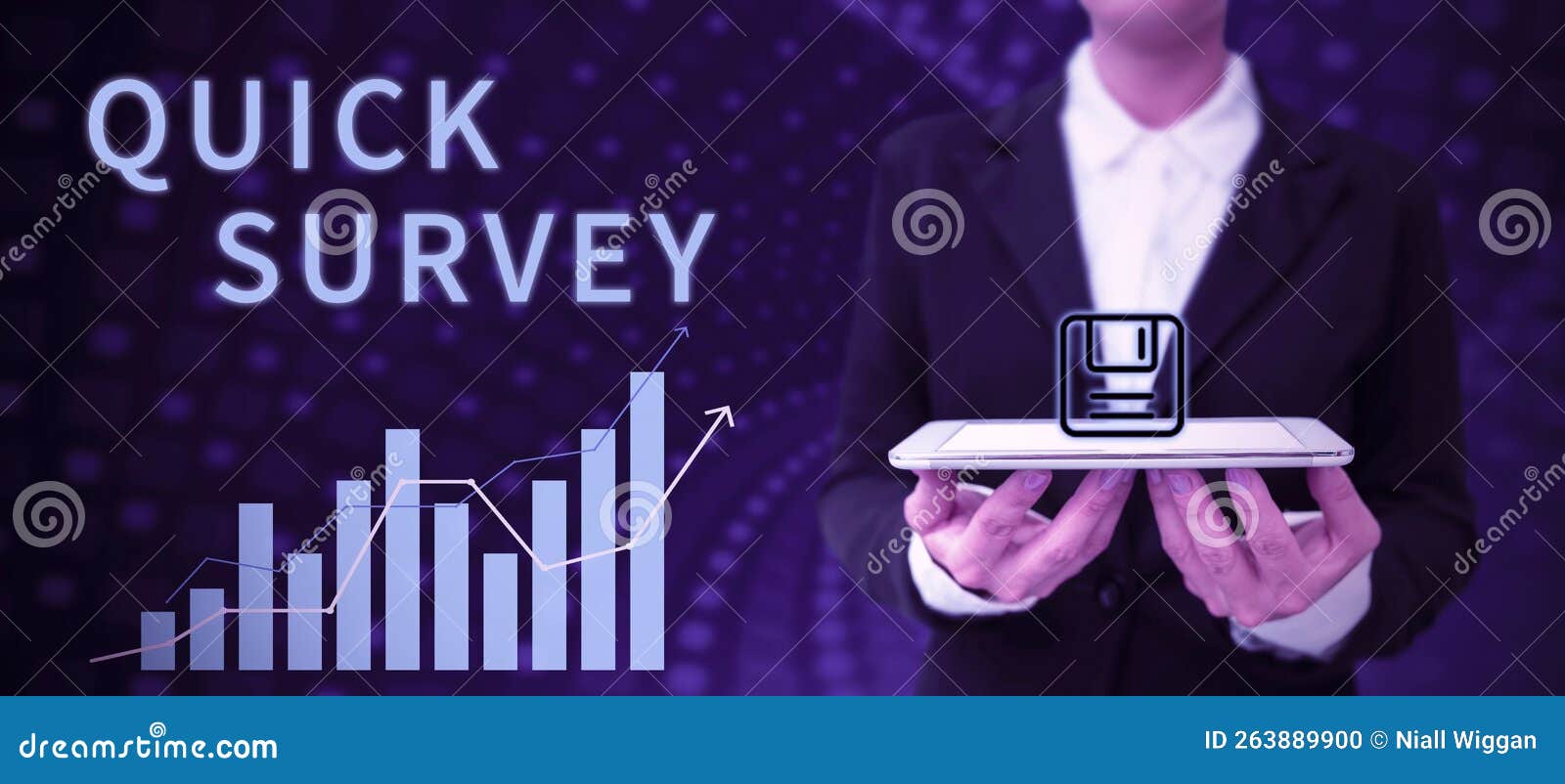 Text Caption Presenting Quick Survey. Word Written on Conduct Fast ...