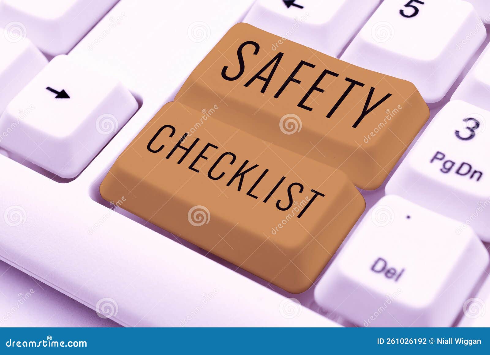Text Caption Presenting Safety Checklist. Internet Concept List of ... Text Caption Presenting Safety Checklist. Internet Concept List of ...