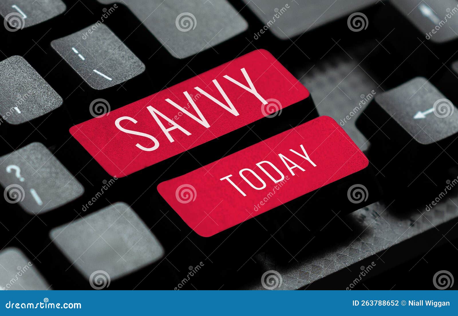 Text Caption Presenting Savvy. Concept Meaning Having Perception ...