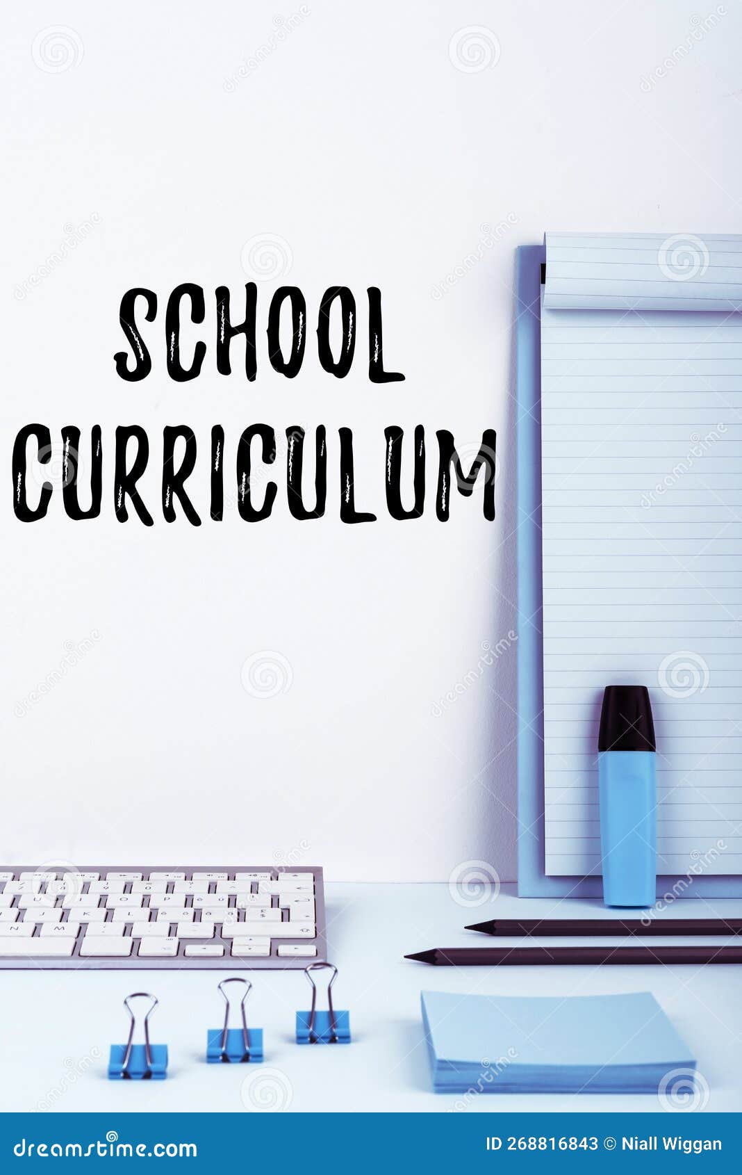 Text Sign Showing School Curriculum. Business Overview Designed To ...