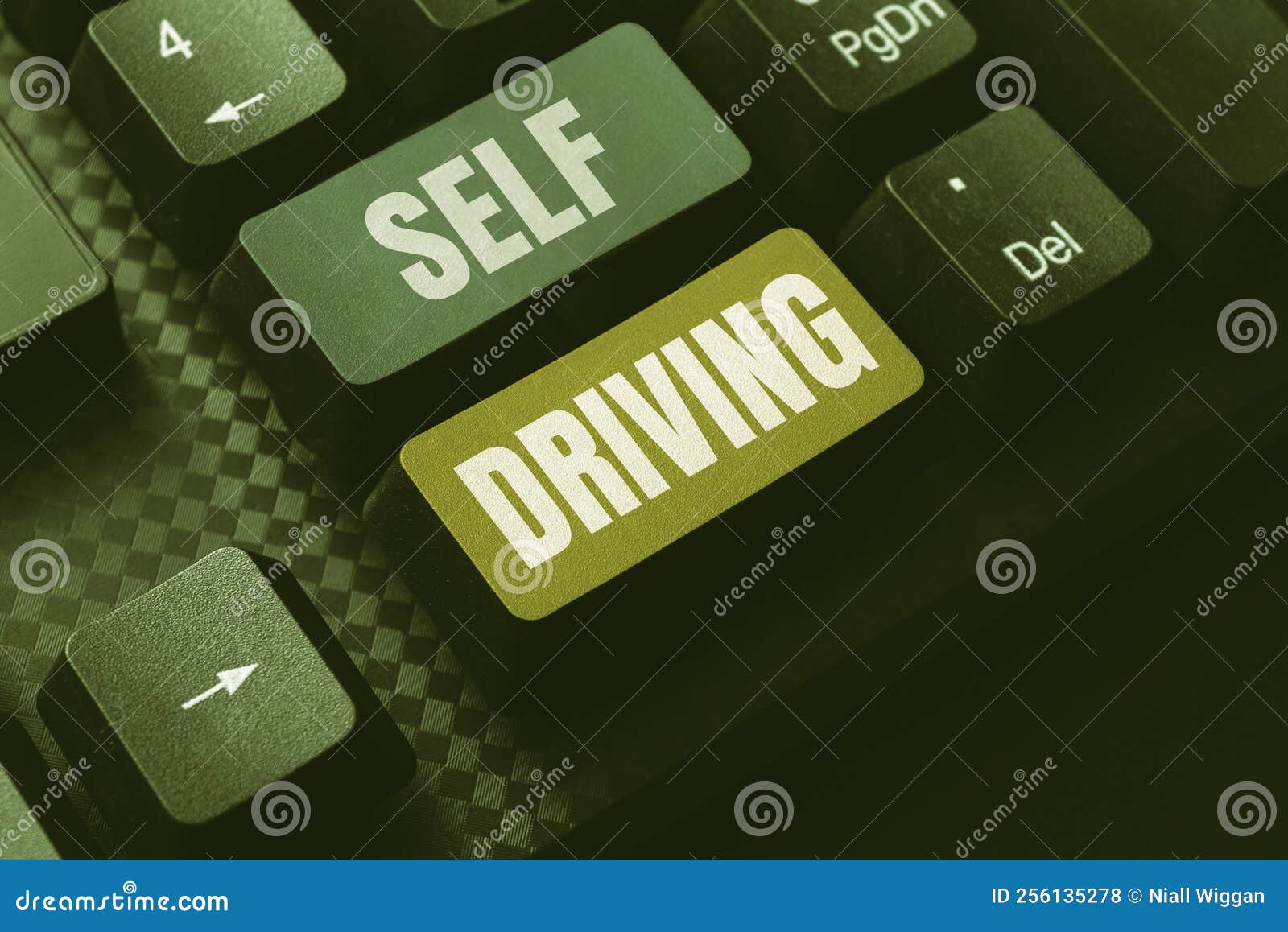 Conceptual Caption Self Driving. Business Overview Autonomous Vehicle ... Conceptual Caption Self Driving. Business Overview Autonomous Vehicle ...