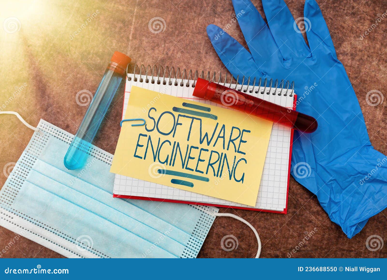 Conceptual Caption Software Engineering. Business Showcase Program ...