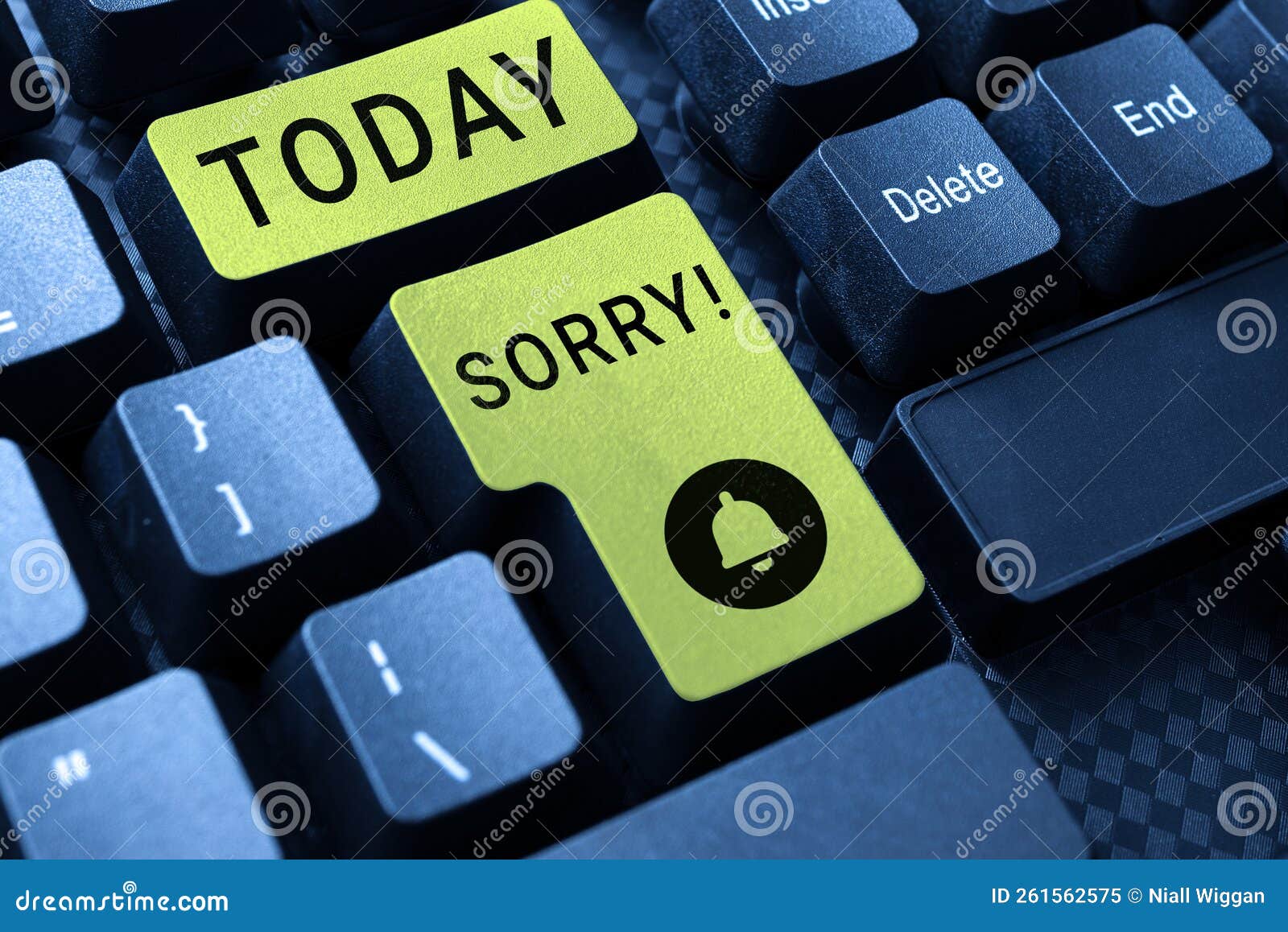 Writing Displaying Text Sorry. Business Overview Most Difficult To Give ...