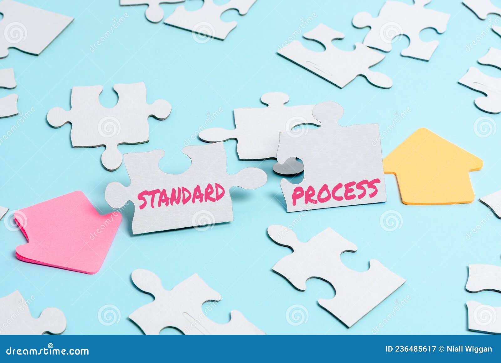 Text Caption Presenting Standard Process. Concept Meaning Rules Made To ...