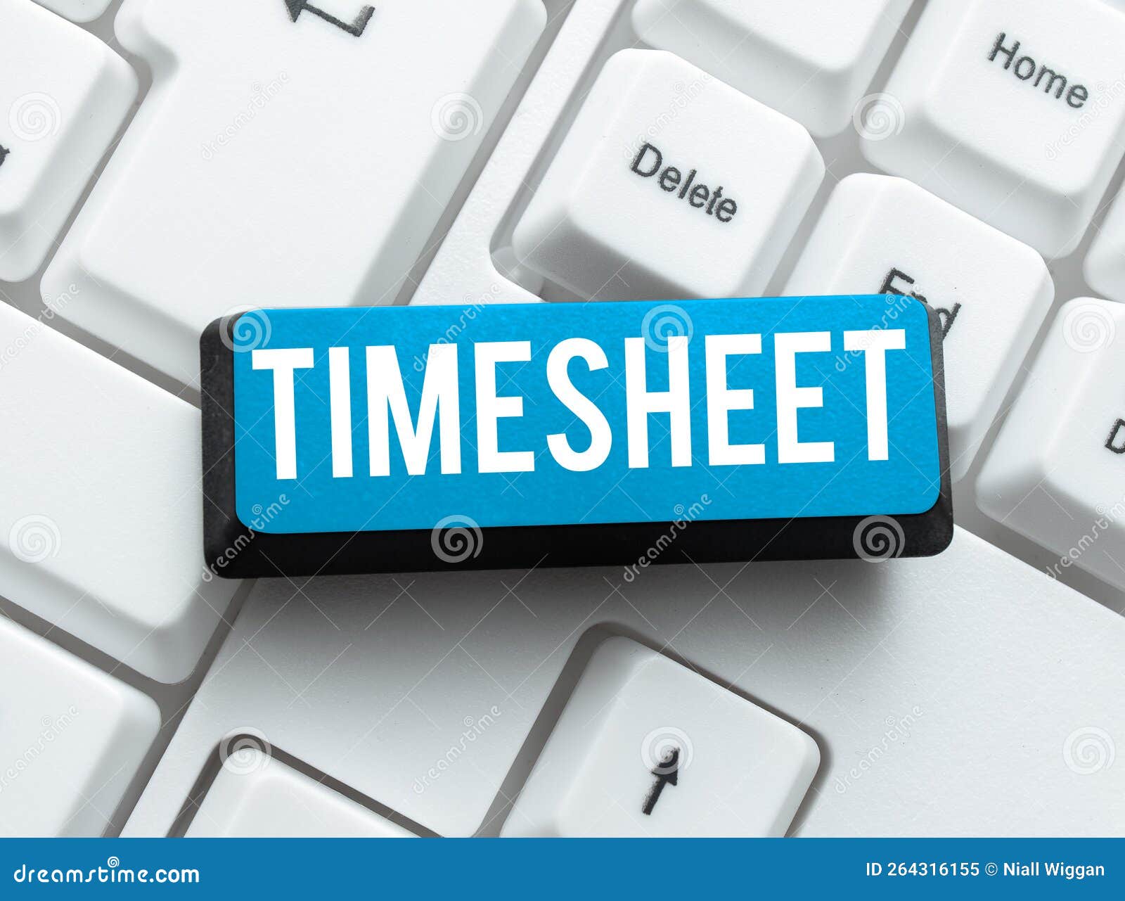 Text Caption Presenting Timesheet. Internet Concept Graphical ...