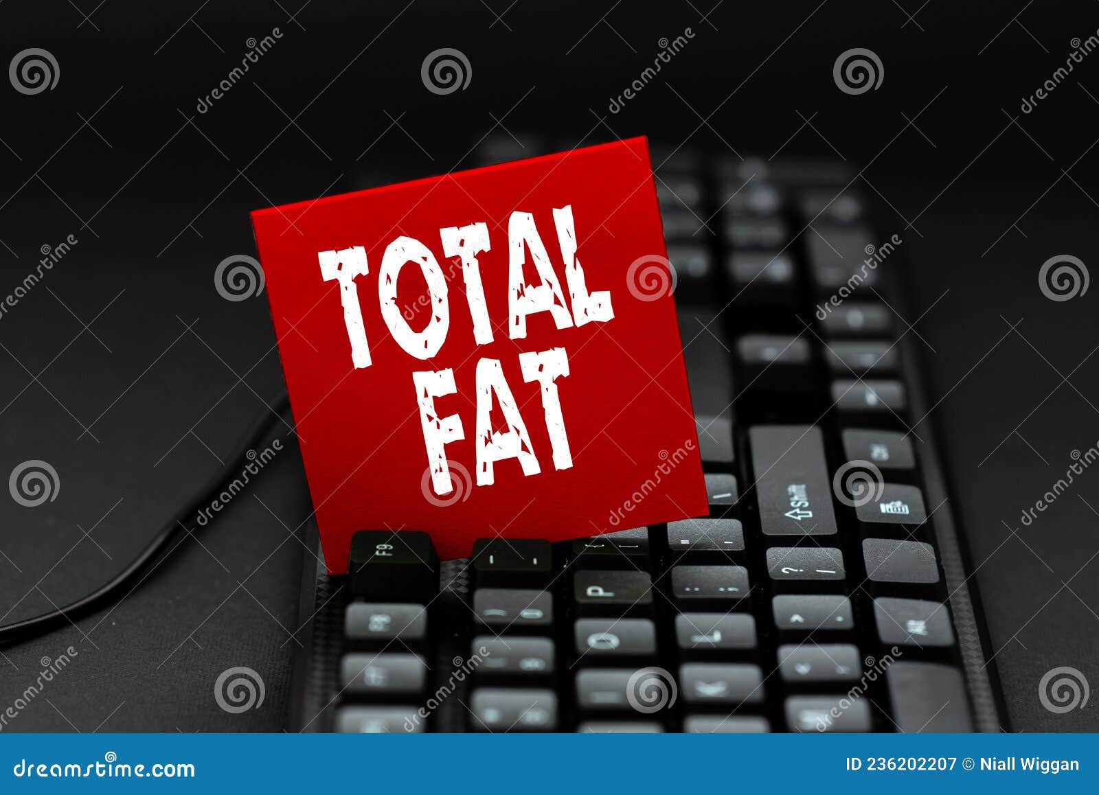 Text Caption Presenting Total Fat. Internet Concept Combined Value of ...
