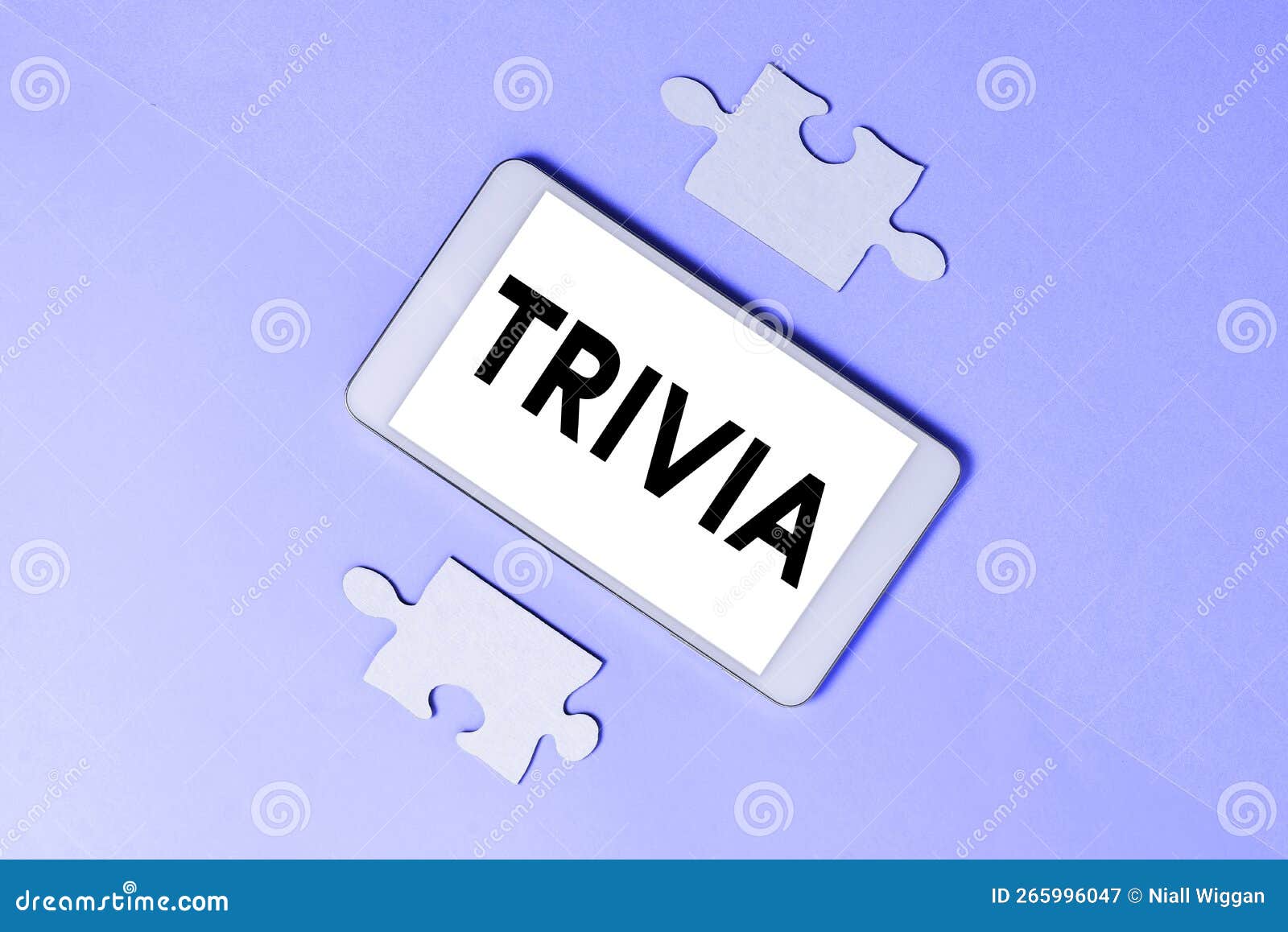 Text Caption Presenting Trivia. Internet Concept Details Considerations ...