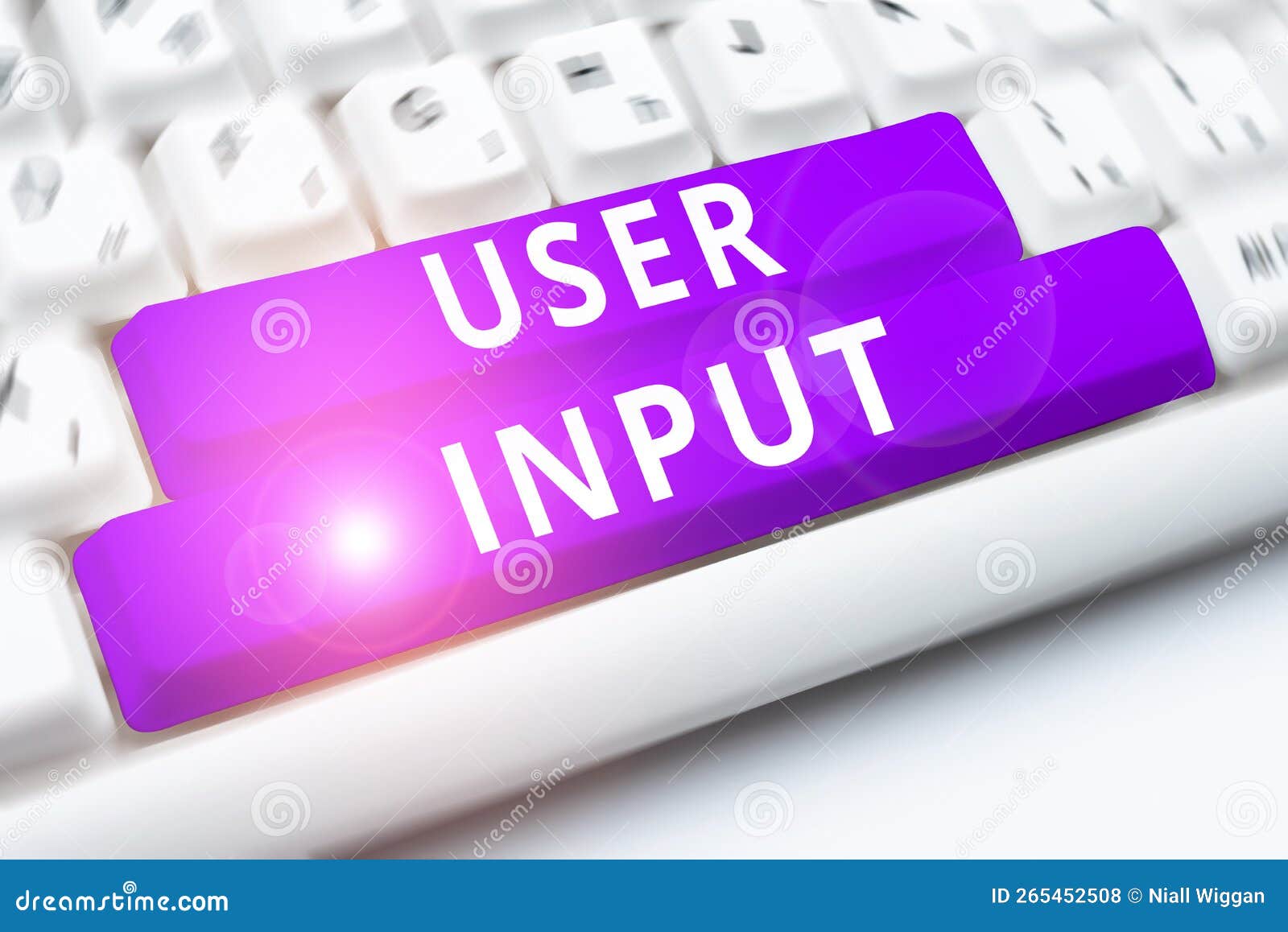 Writing Displaying Text User Input. Concept Meaning Any Information or Data that is Sent To a ...