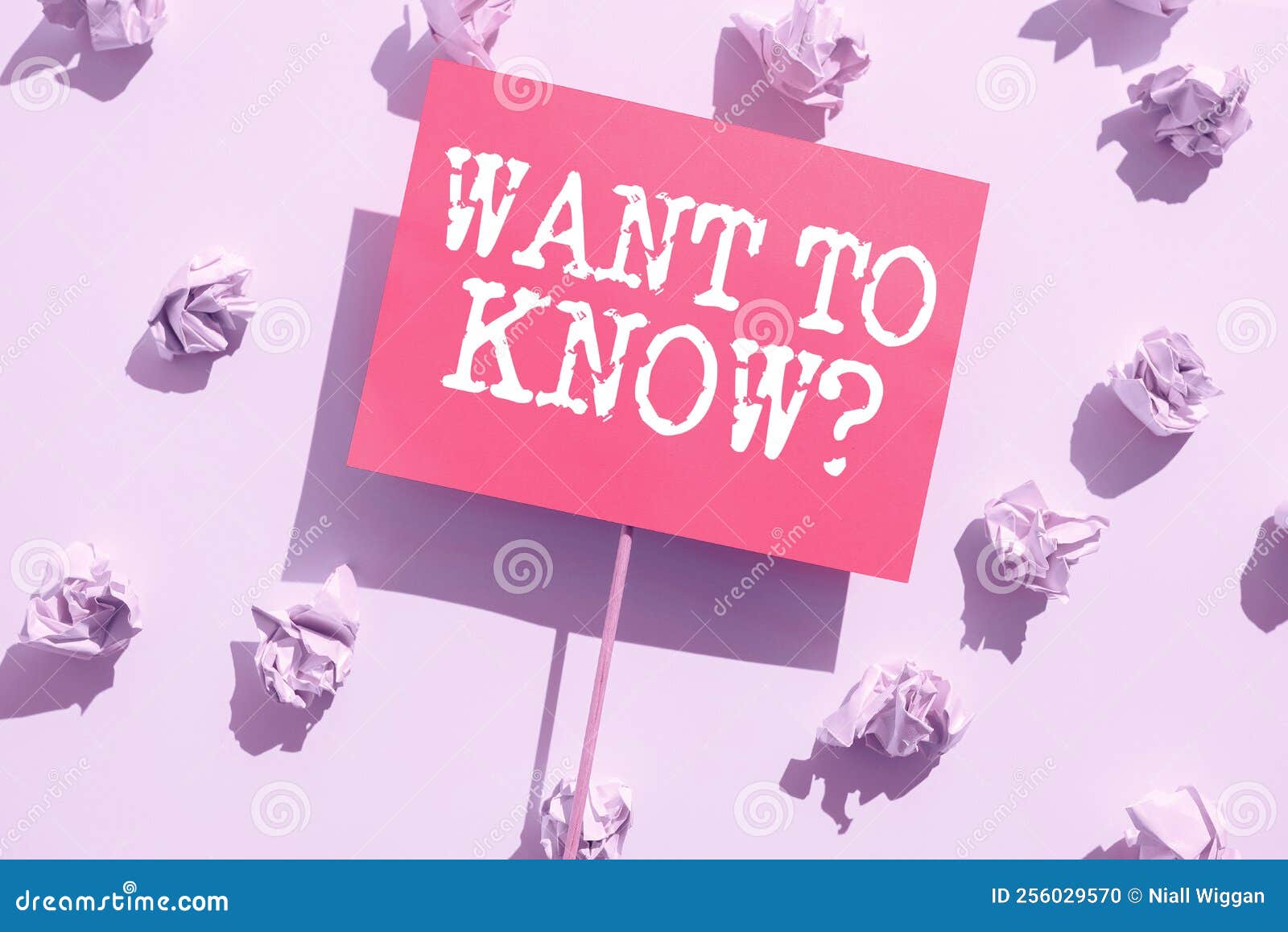 Text Caption Presenting Want To Know Question. Conceptual Photo Request ...