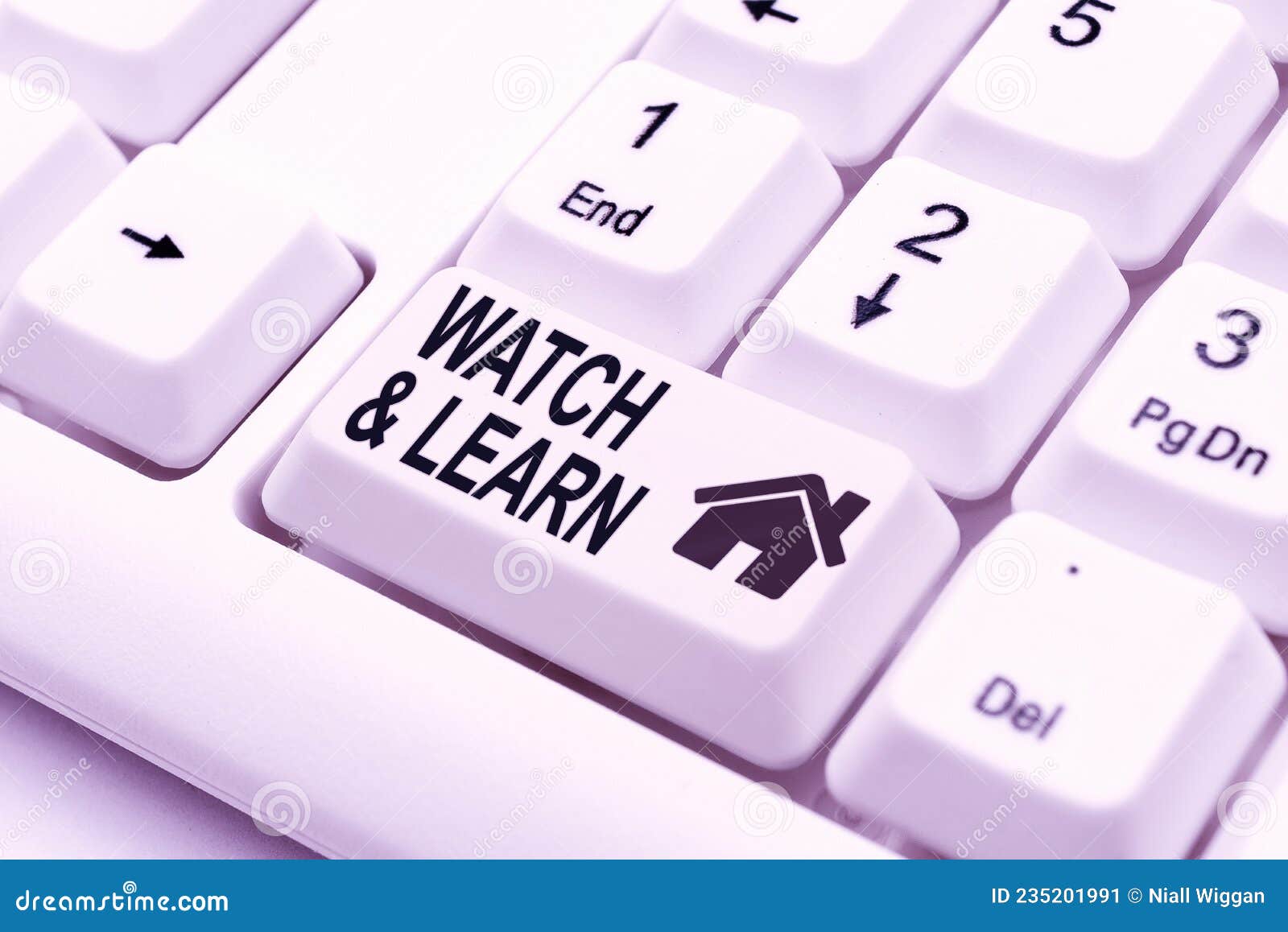 Text Showing Inspiration Watch and Learn. Internet Concept ...