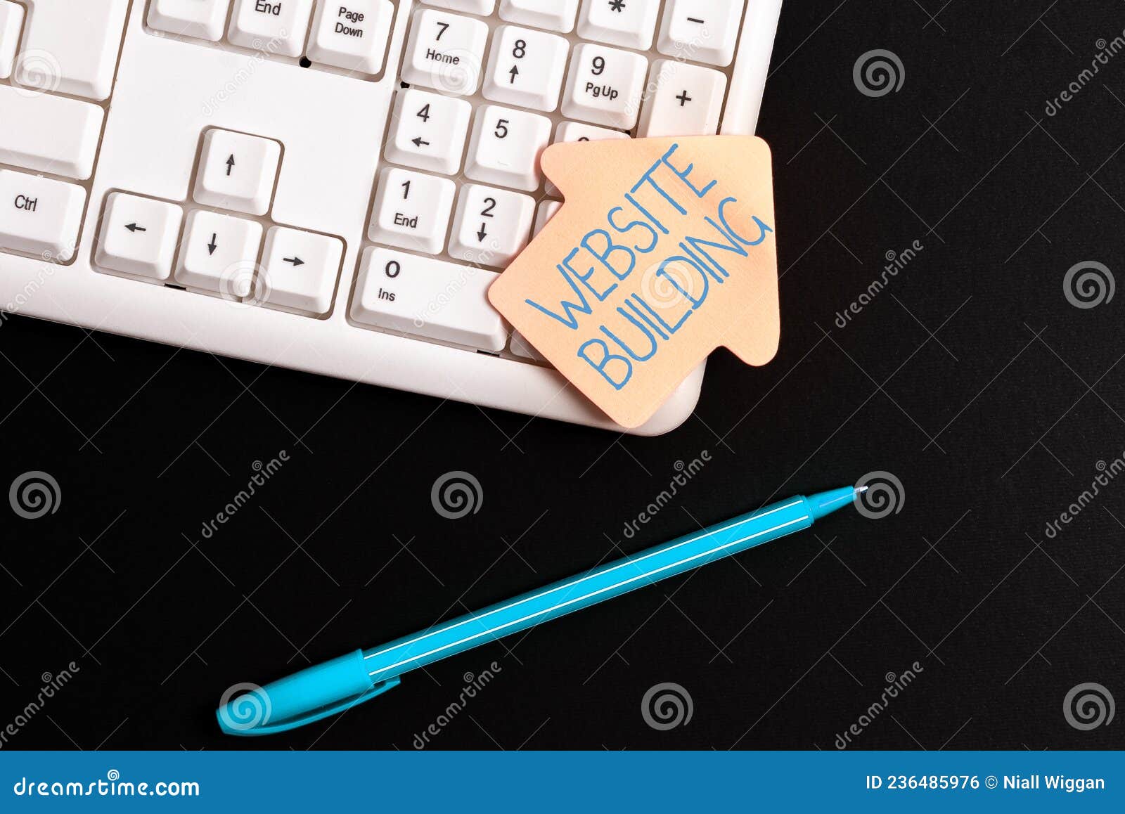 Conceptual Caption Website Building. Business Showcase Tools that ...