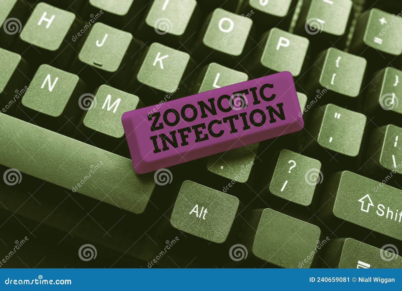 Text Caption Presenting Zoonotic Infection. Business Approach Zoonotic ...