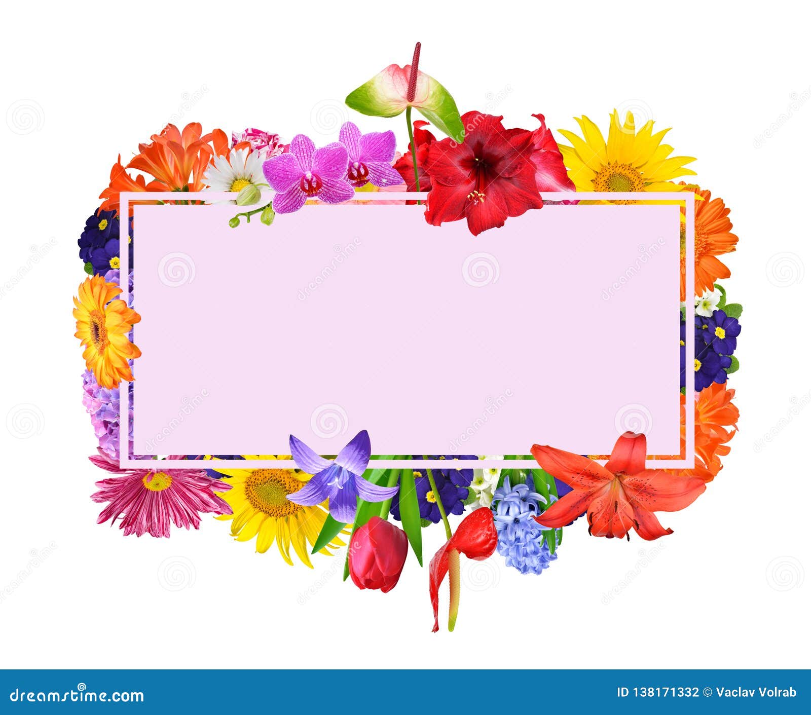 A Text Card Framed with Colorful Spring Flowers. Stock Illustration ...