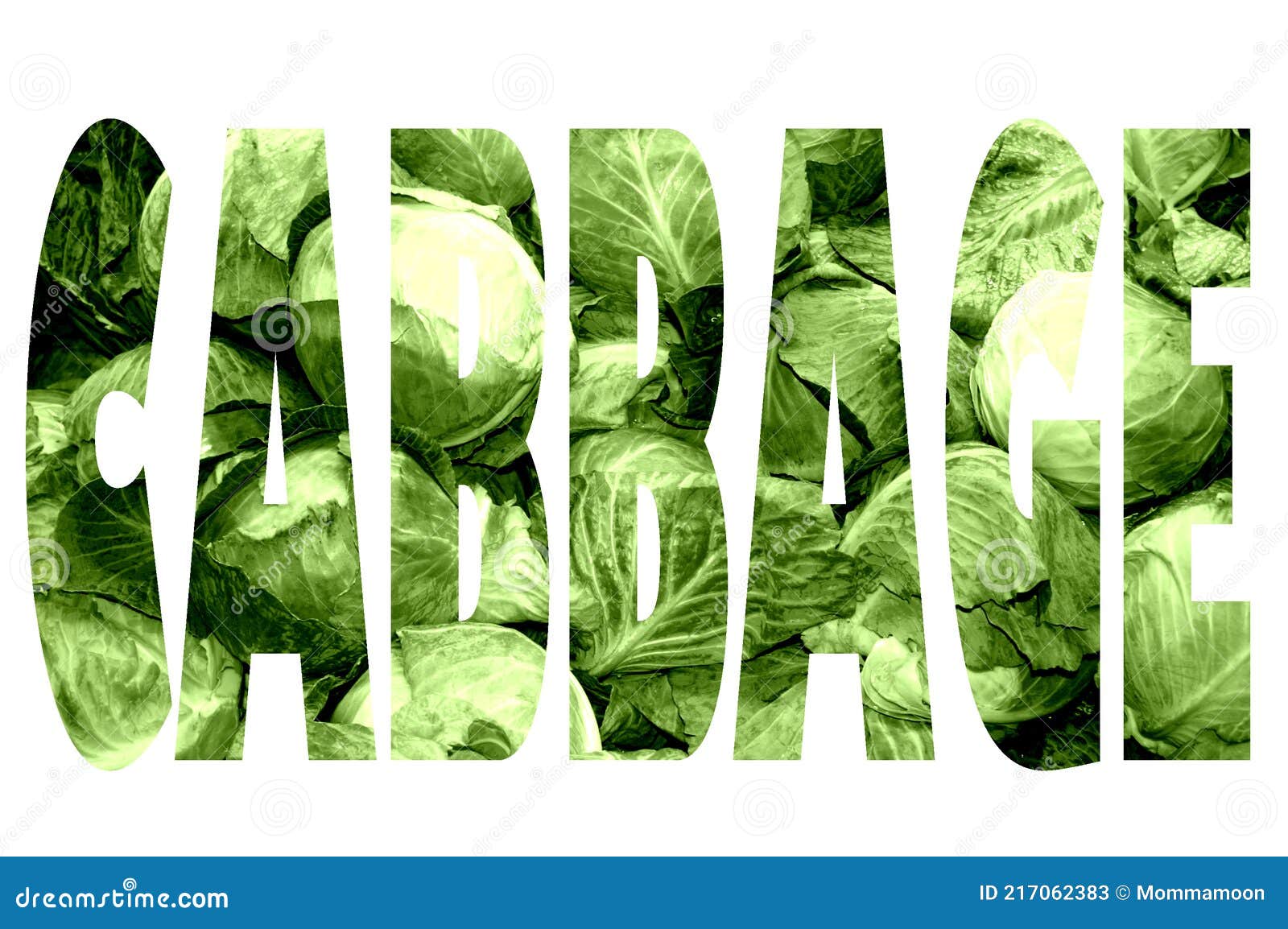 Text Filled with Cabbage stock image. Image of cabbage - 217062383
