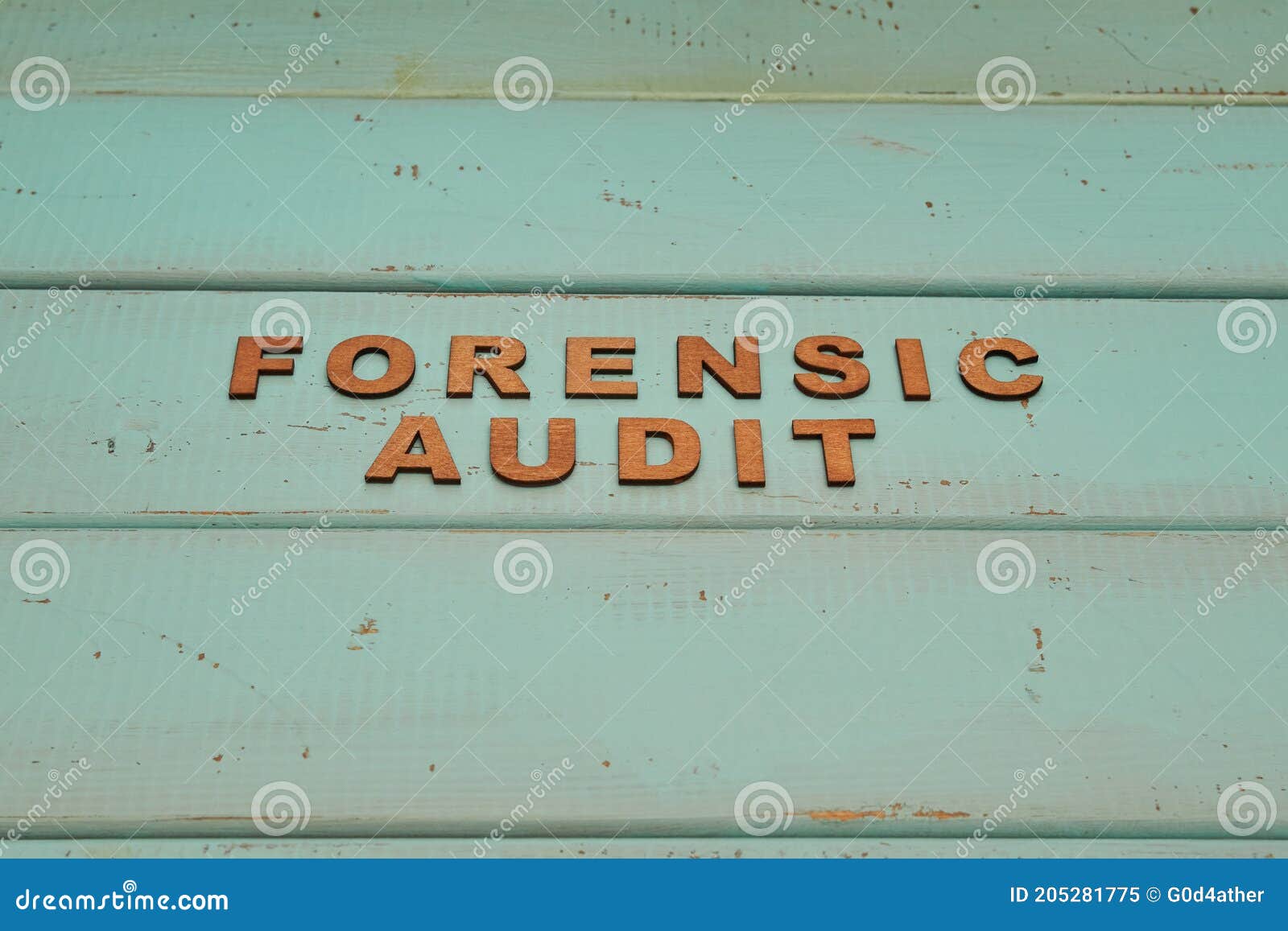 Forensic Audit stock image. Image of litigation, audit - 205281775