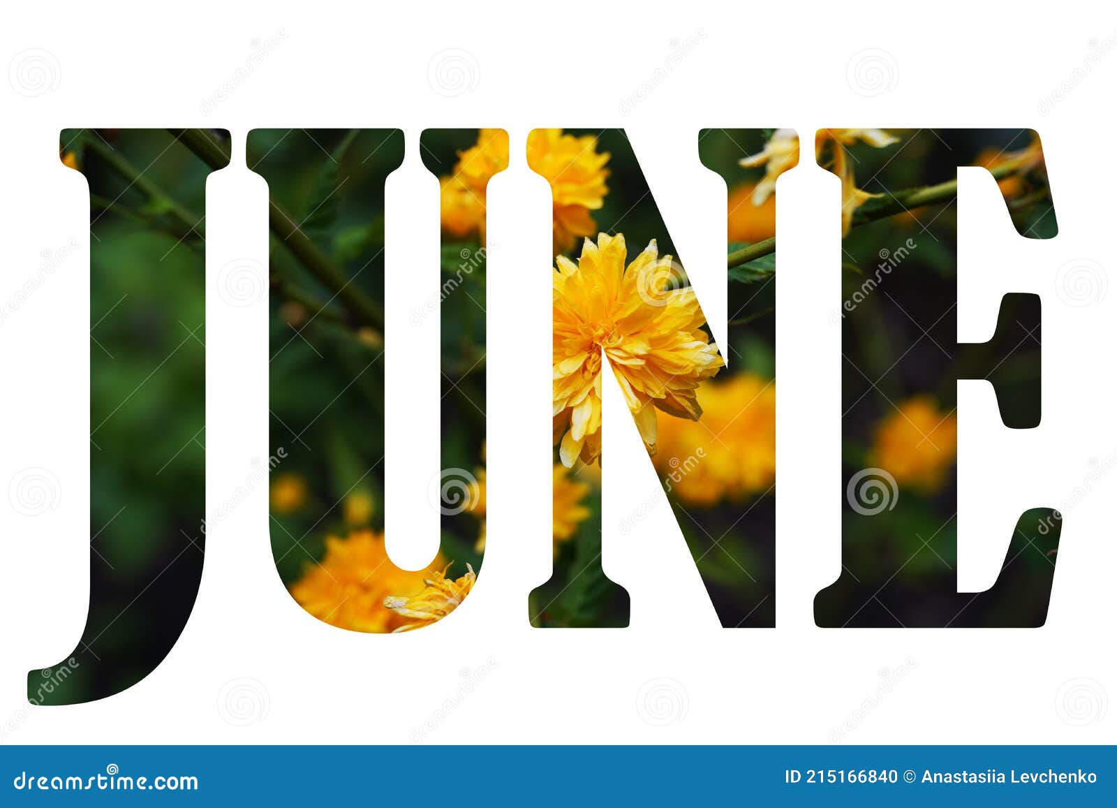 Text JUNE from Nature Flowers Background Isolated on White Stock Photo ...